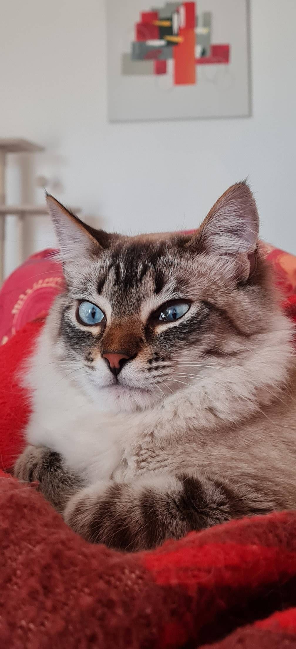 Félix - Samsung Community