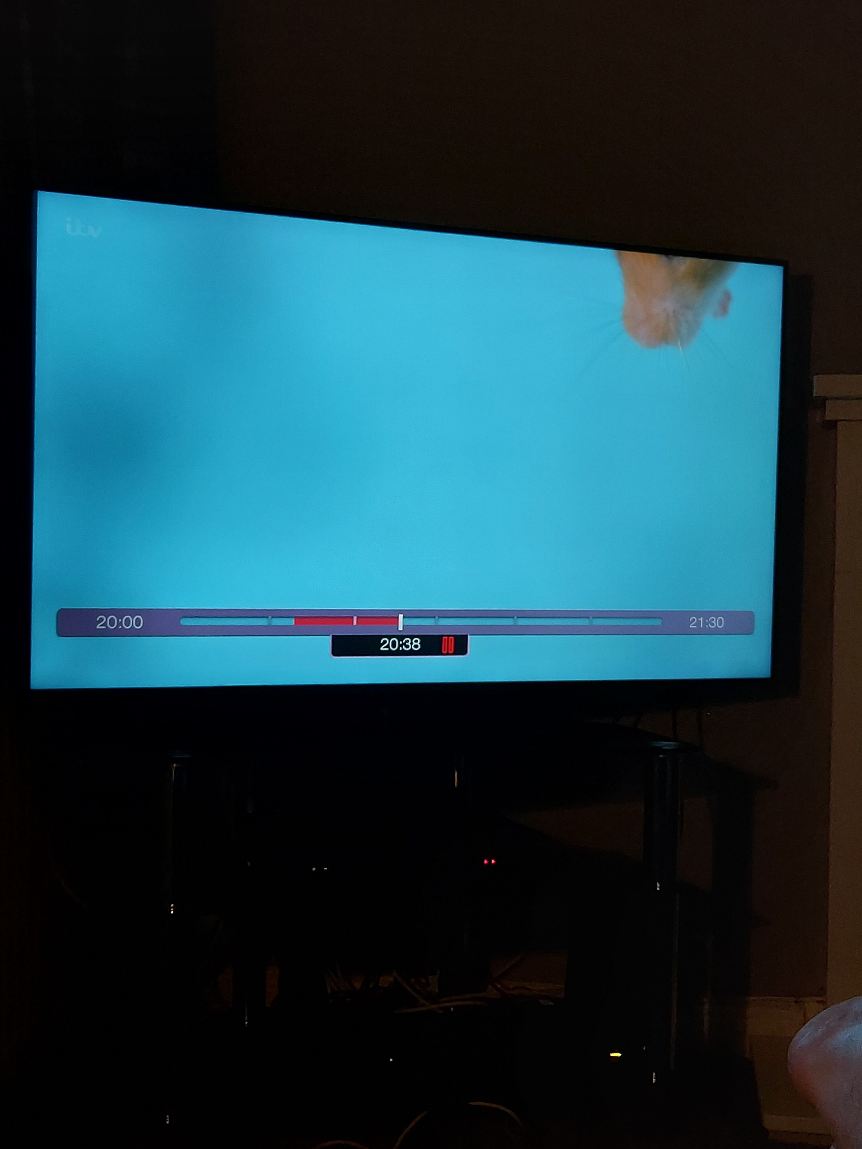 Black spots on TV - Samsung Community