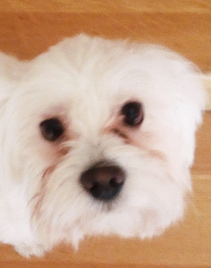 Nazywam sie Tupek i to jest moje najlepsze dzjecie - Samsung Community