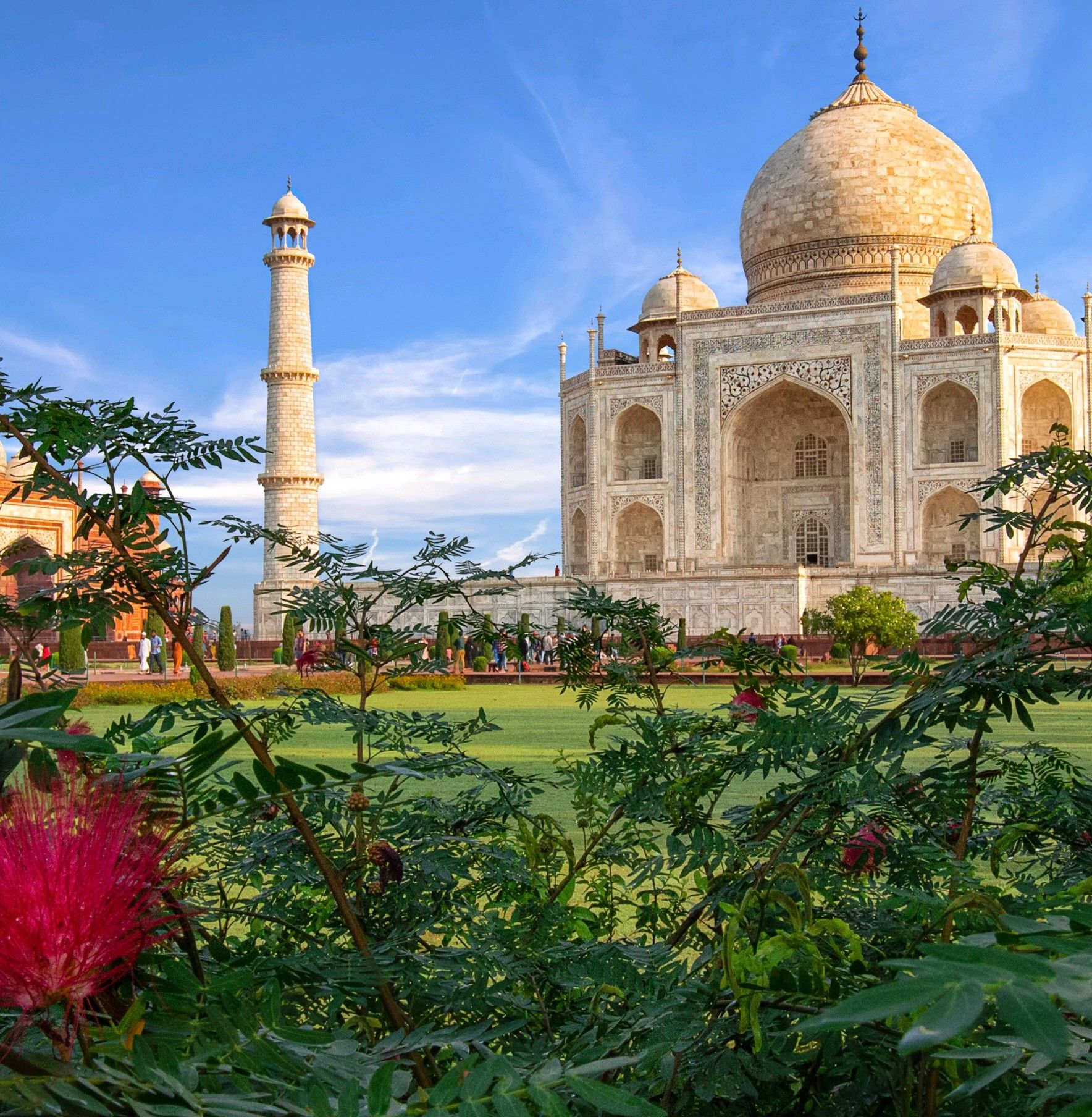 Tajine Mahal - Samsung Community