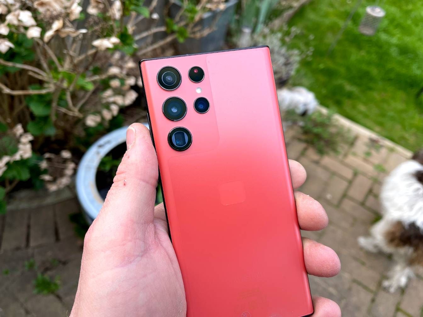 S22 Ultra Exclusive Red Colour - Samsung Community