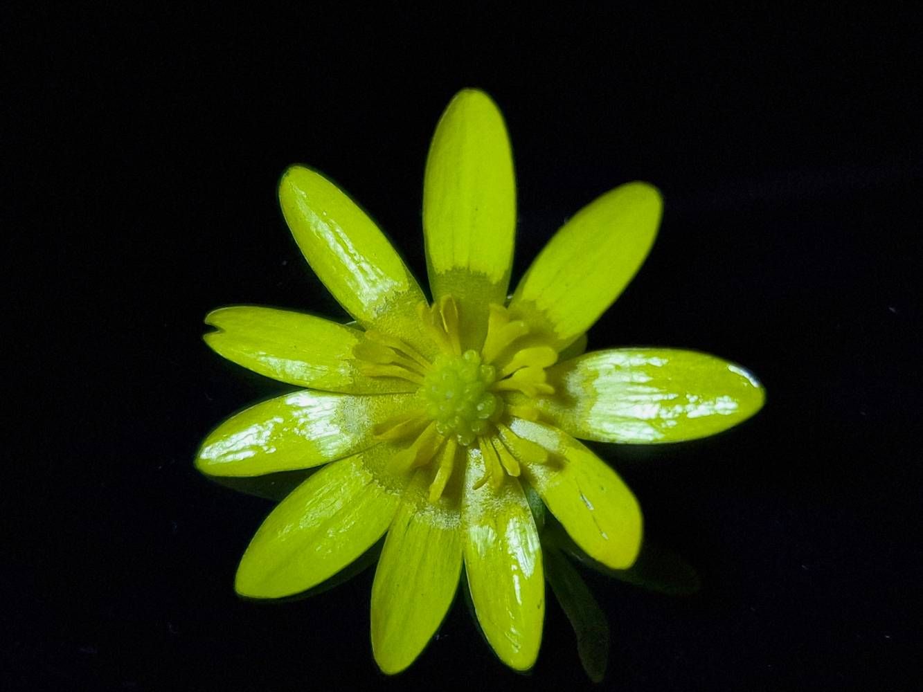 Gólyahír - Samsung Community