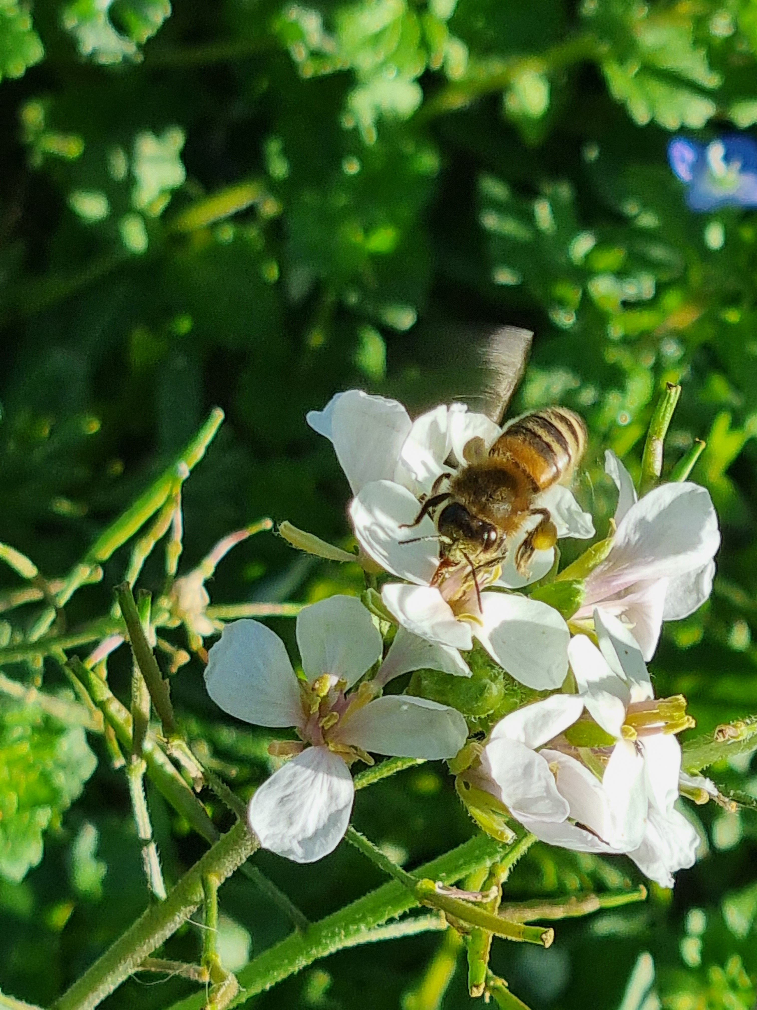 Zoom x30 - Samsung Community