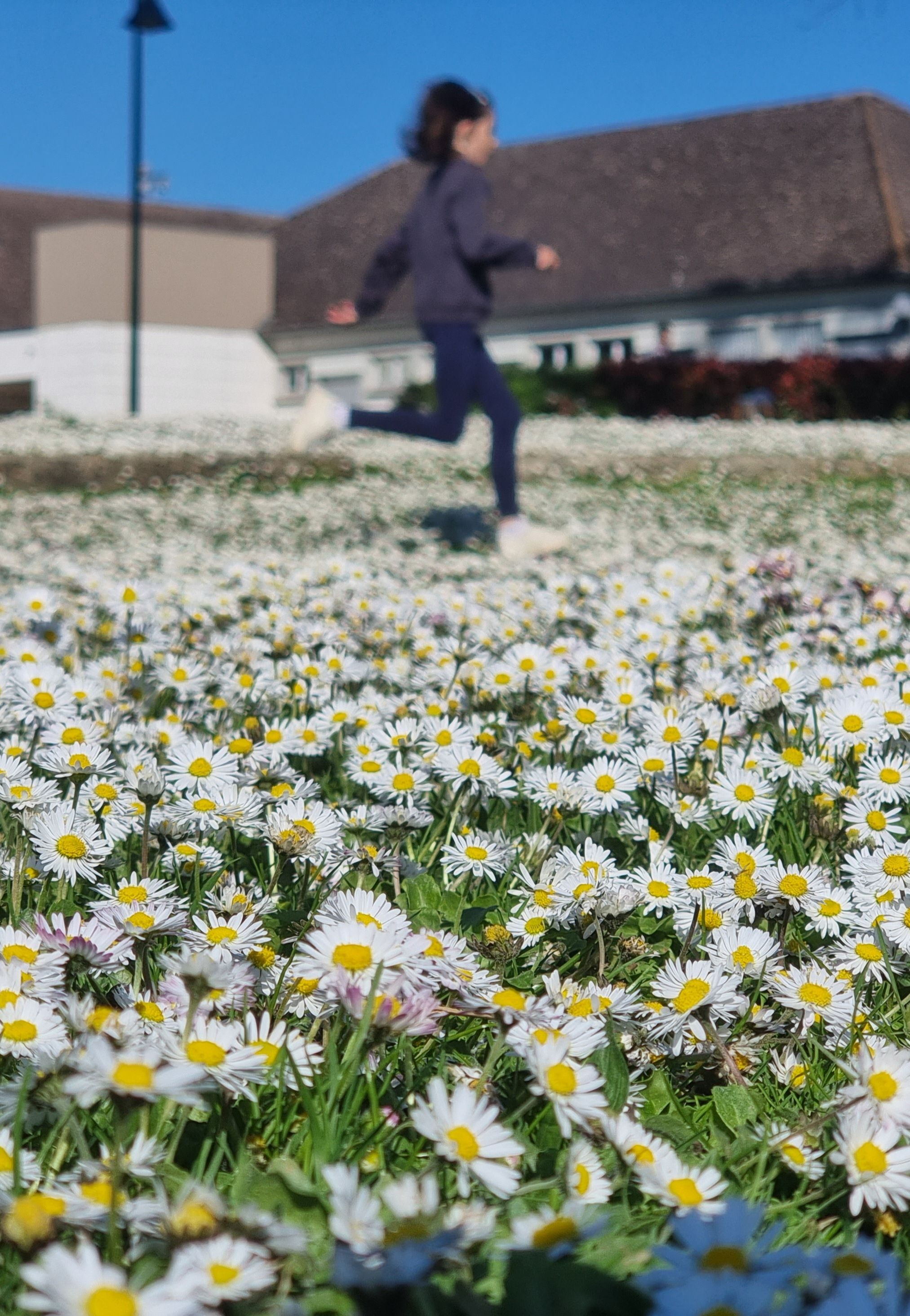 Run - Samsung Community