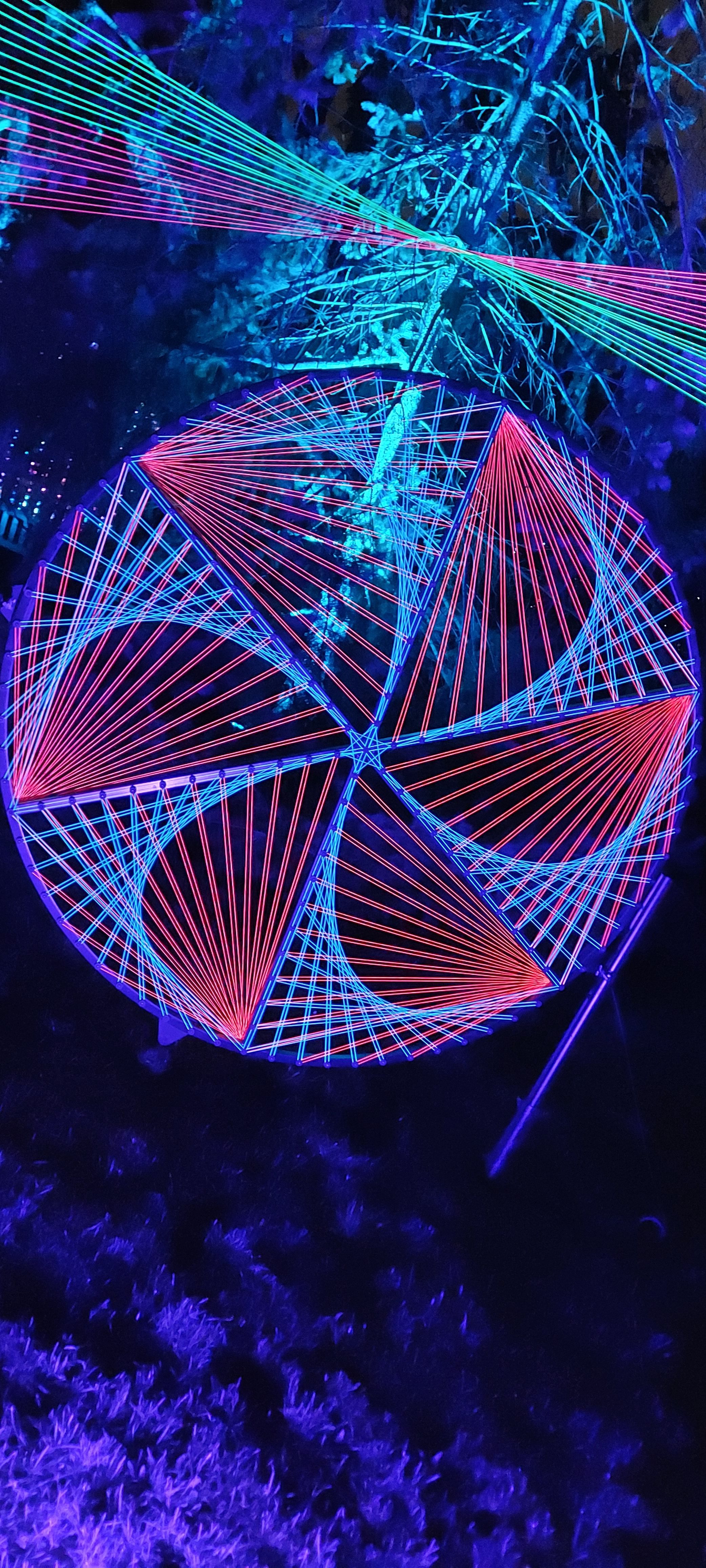 Forest Lights - Samsung Community