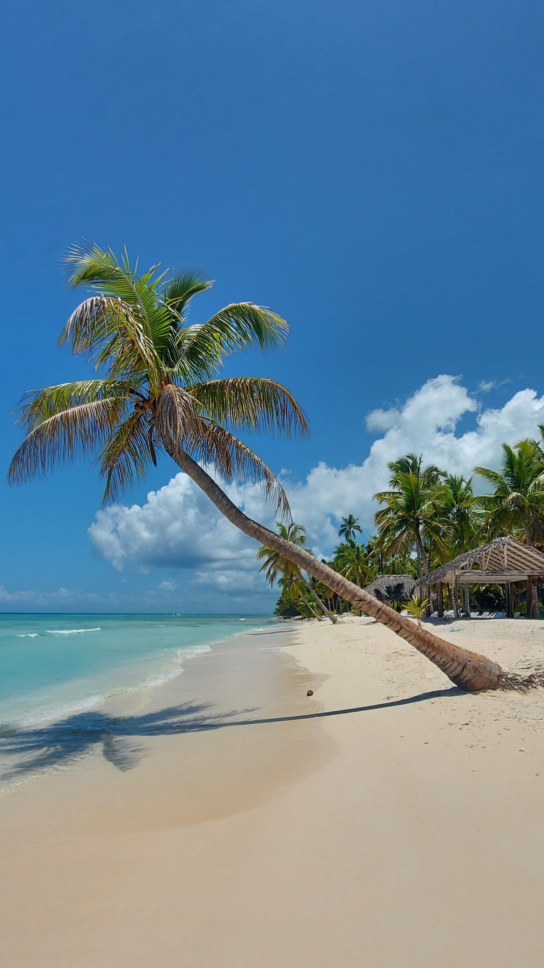 caribbean blue - Samsung Community