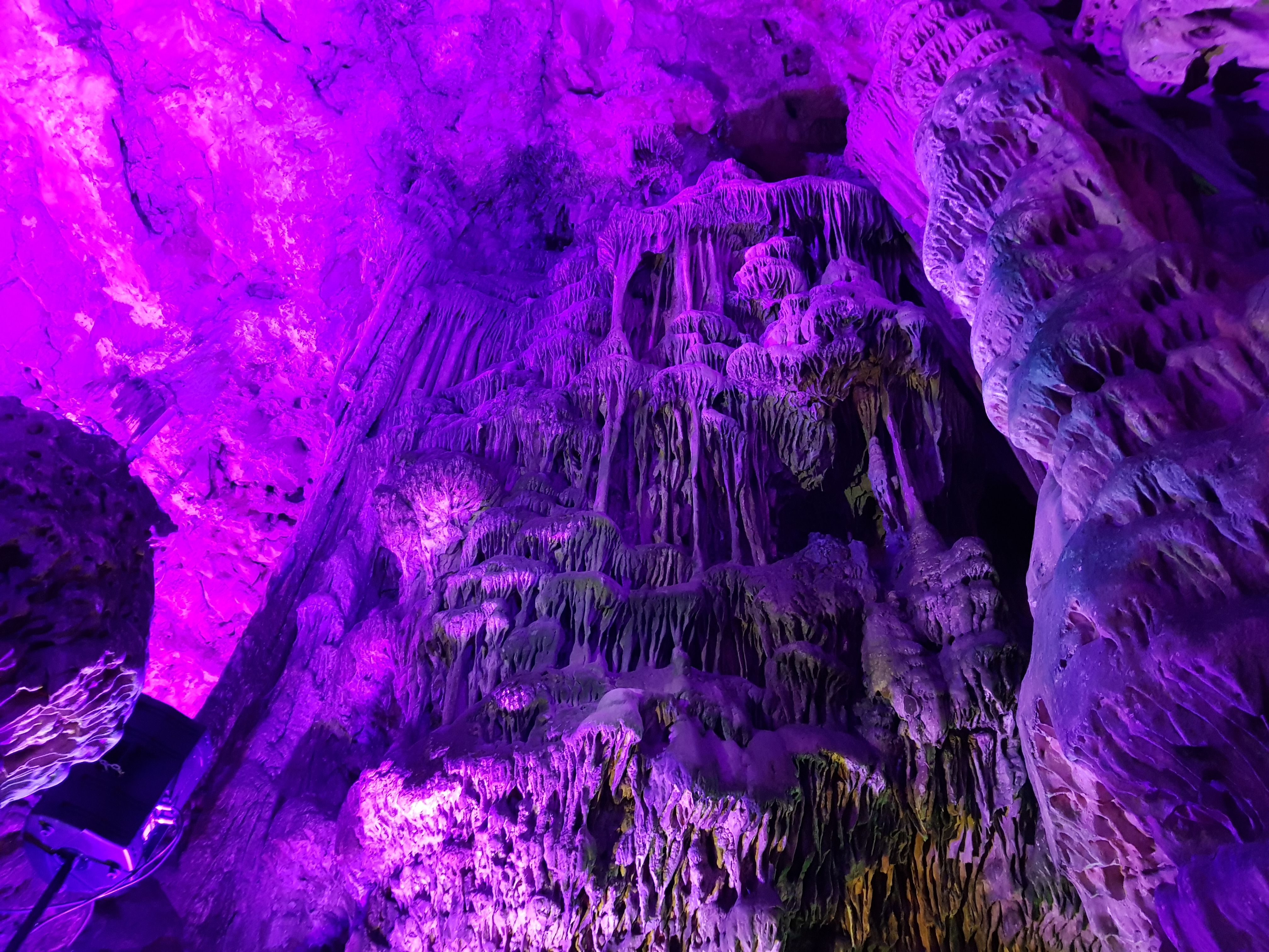 Purple Life - Samsung Community