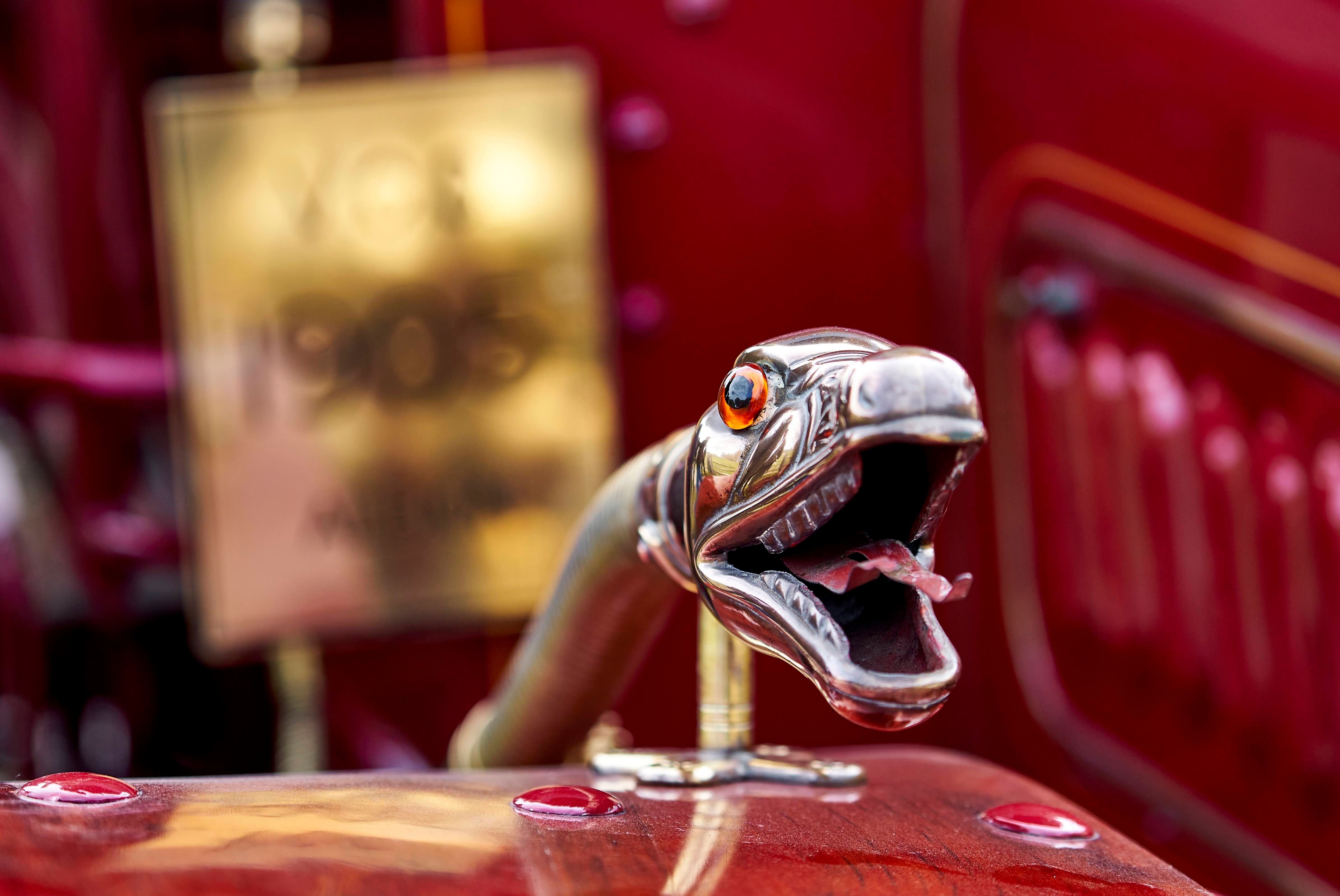 Snake on a car - Samsung Community