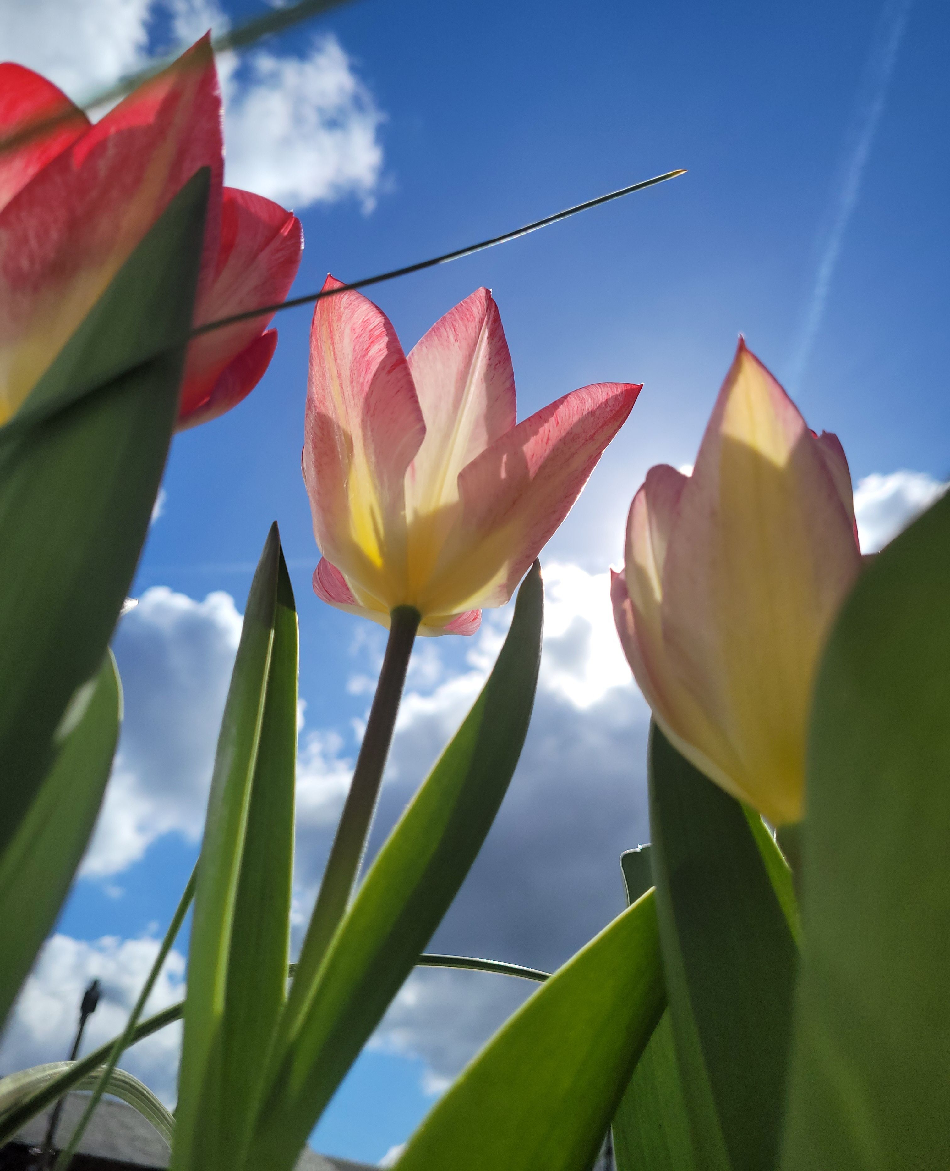 Bright and Happy - Samsung Community