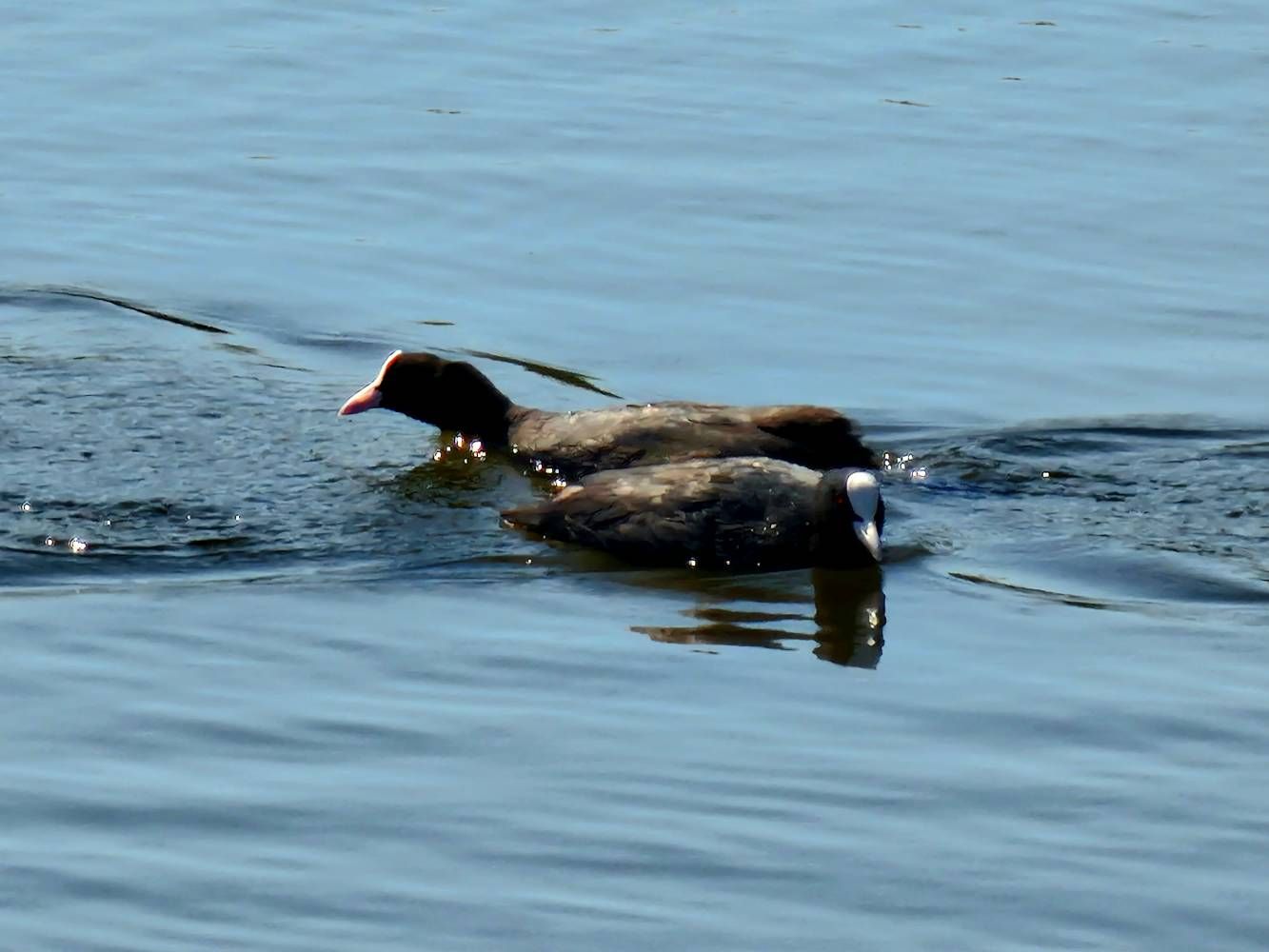 Fehér gém - Samsung Community