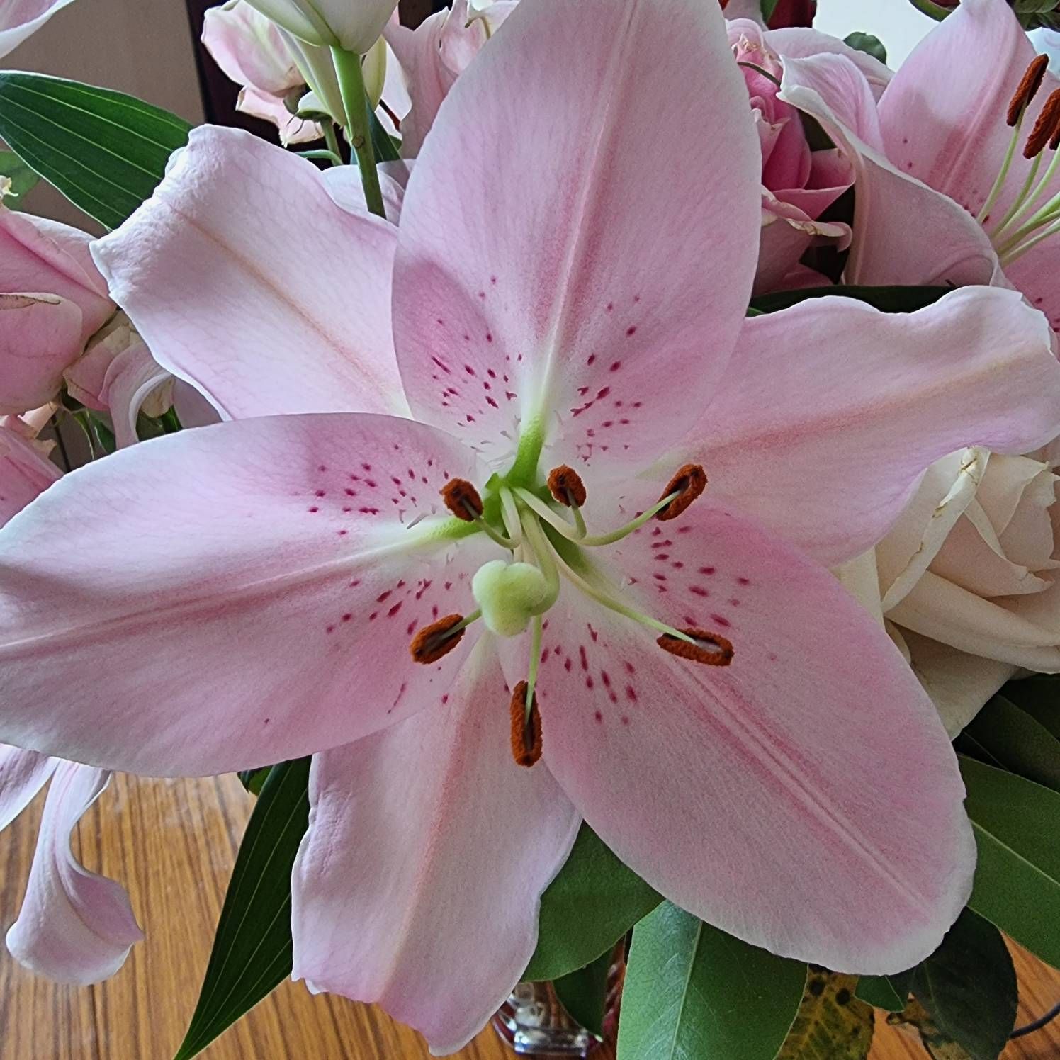 Lily - Samsung Community