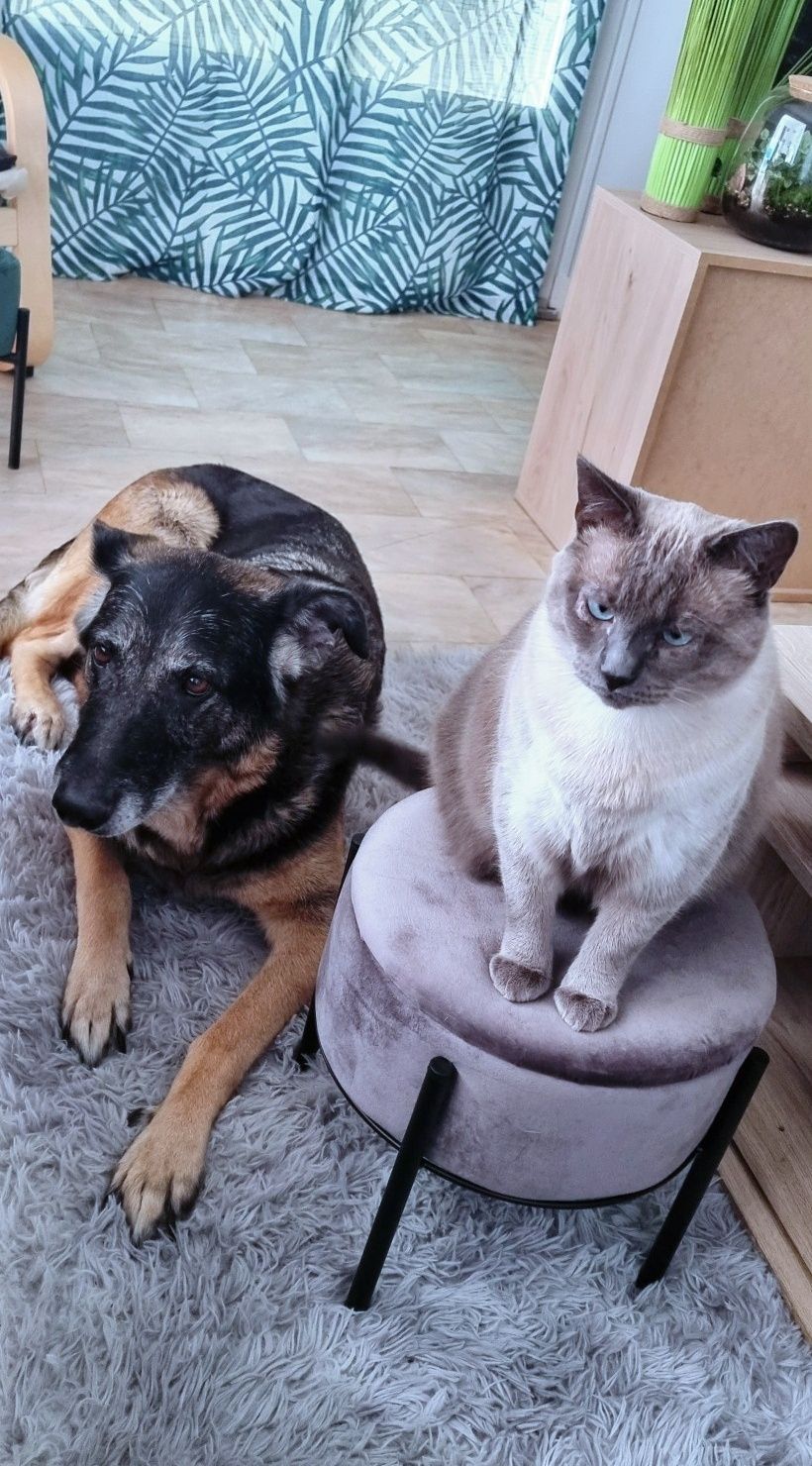 Love animals - Samsung Community