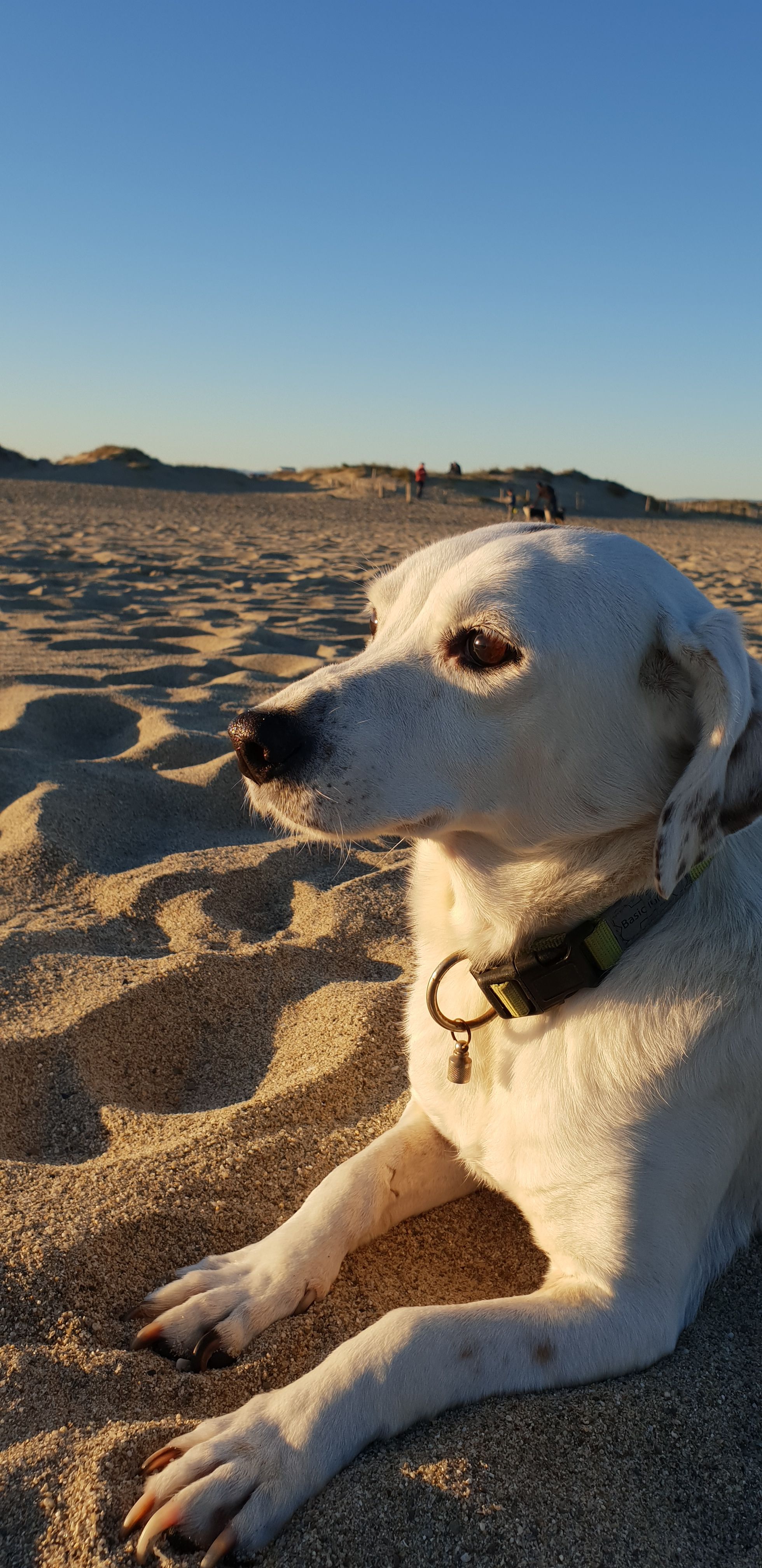 Douce Sam - Samsung Community