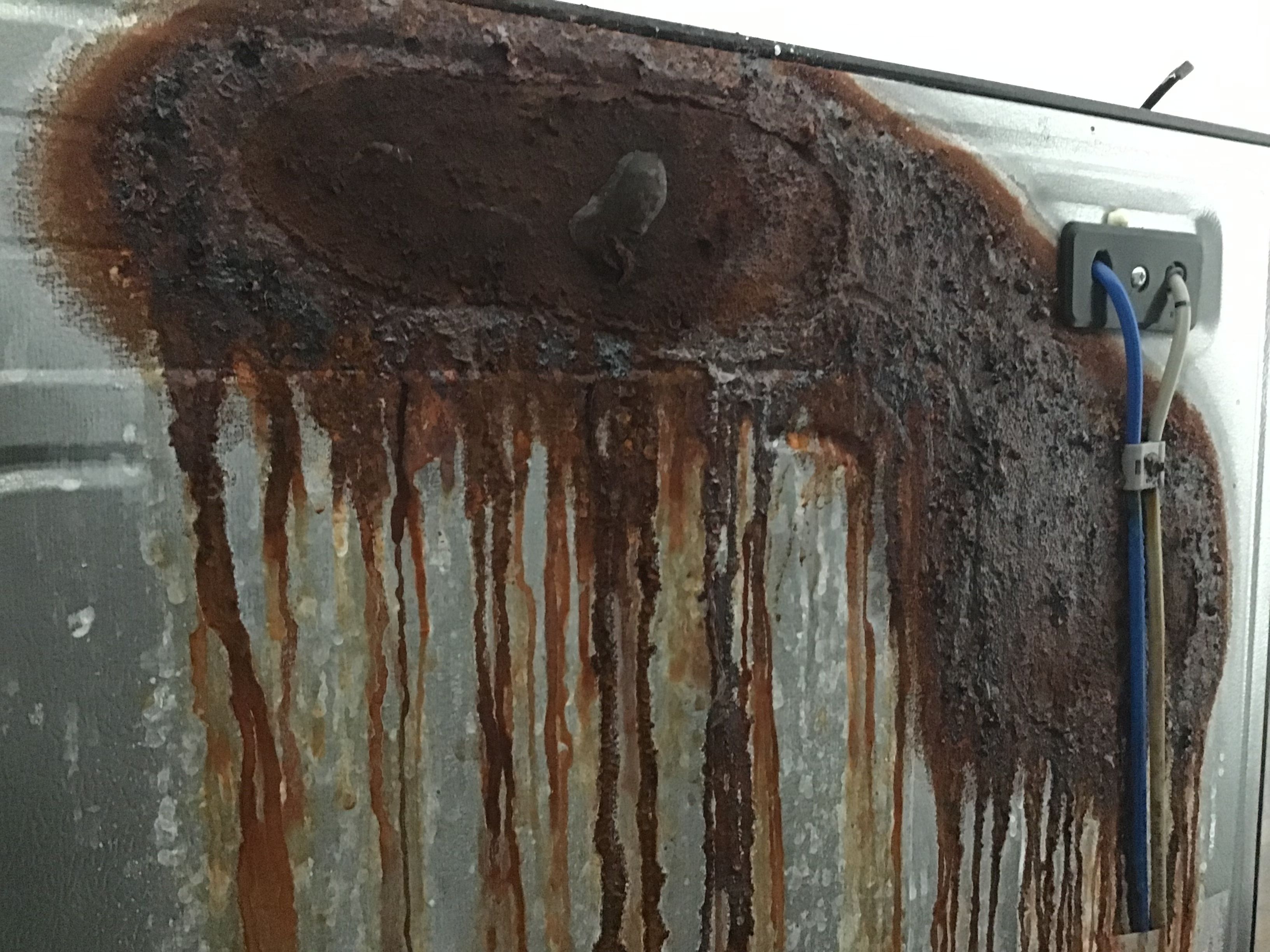 Rust on back of fridge caused damage - Samsung Community
