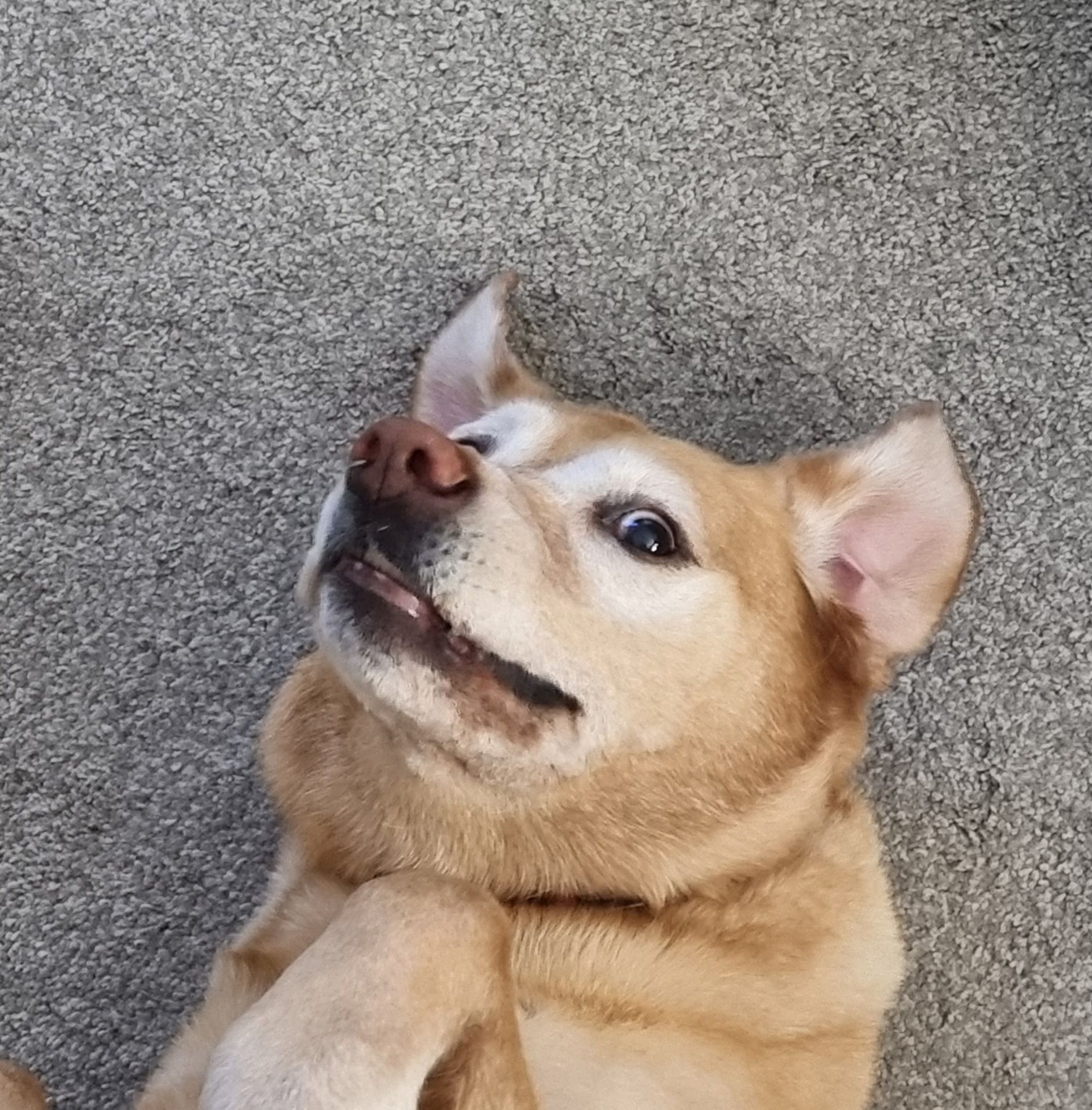 El-Vi-Riachi - Samsung Community