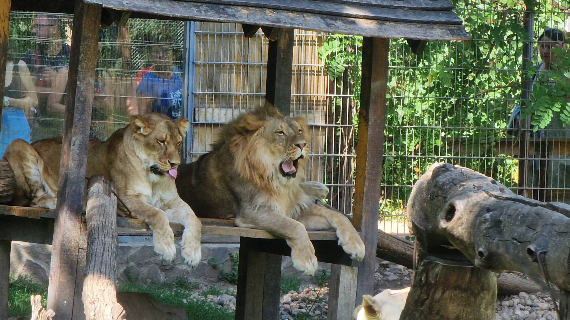 Nyíregyháza Állatkert.22.08.10 - Samsung Community