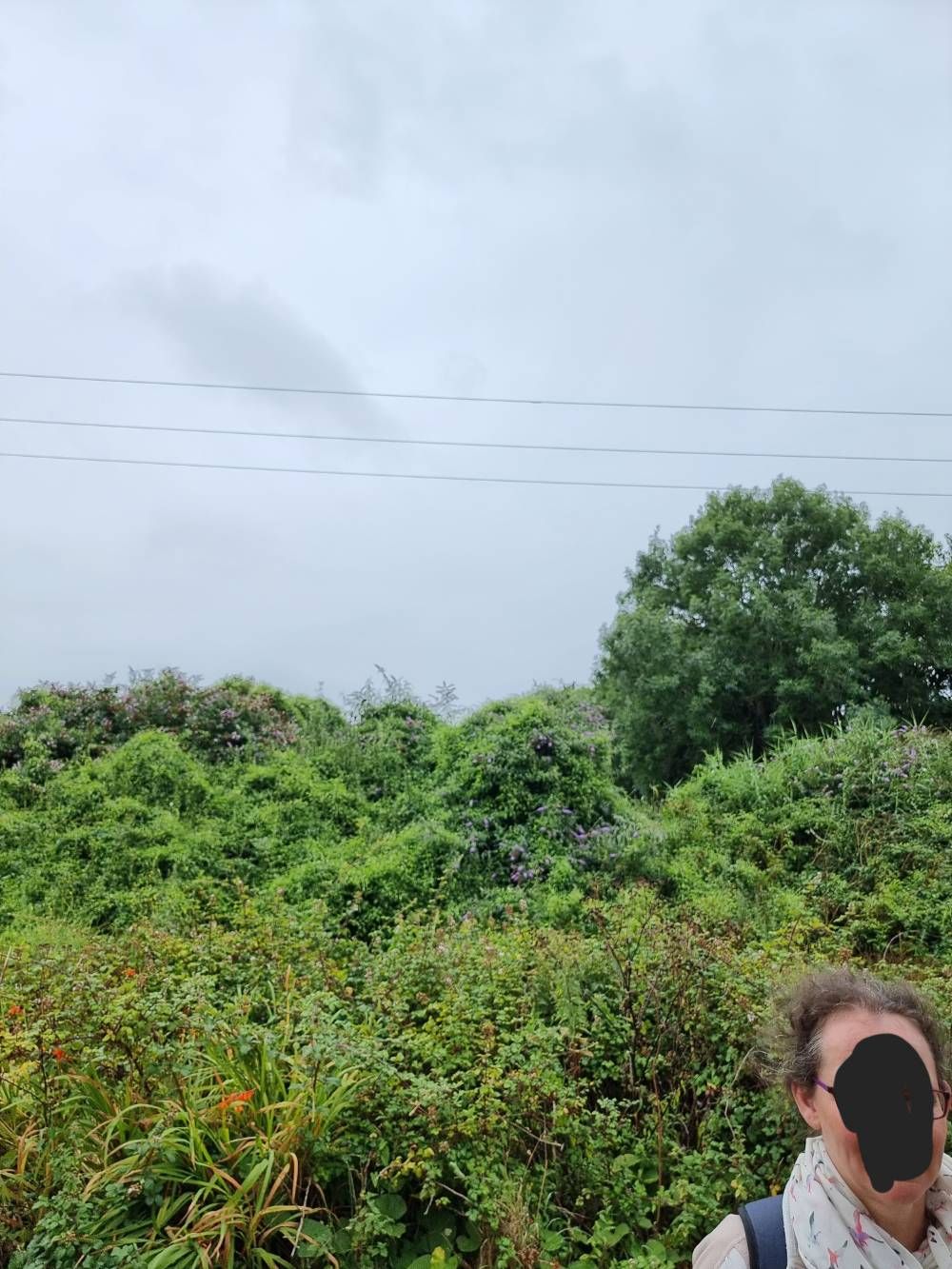 Gelöst: Bild verzerrung - Samsung Community