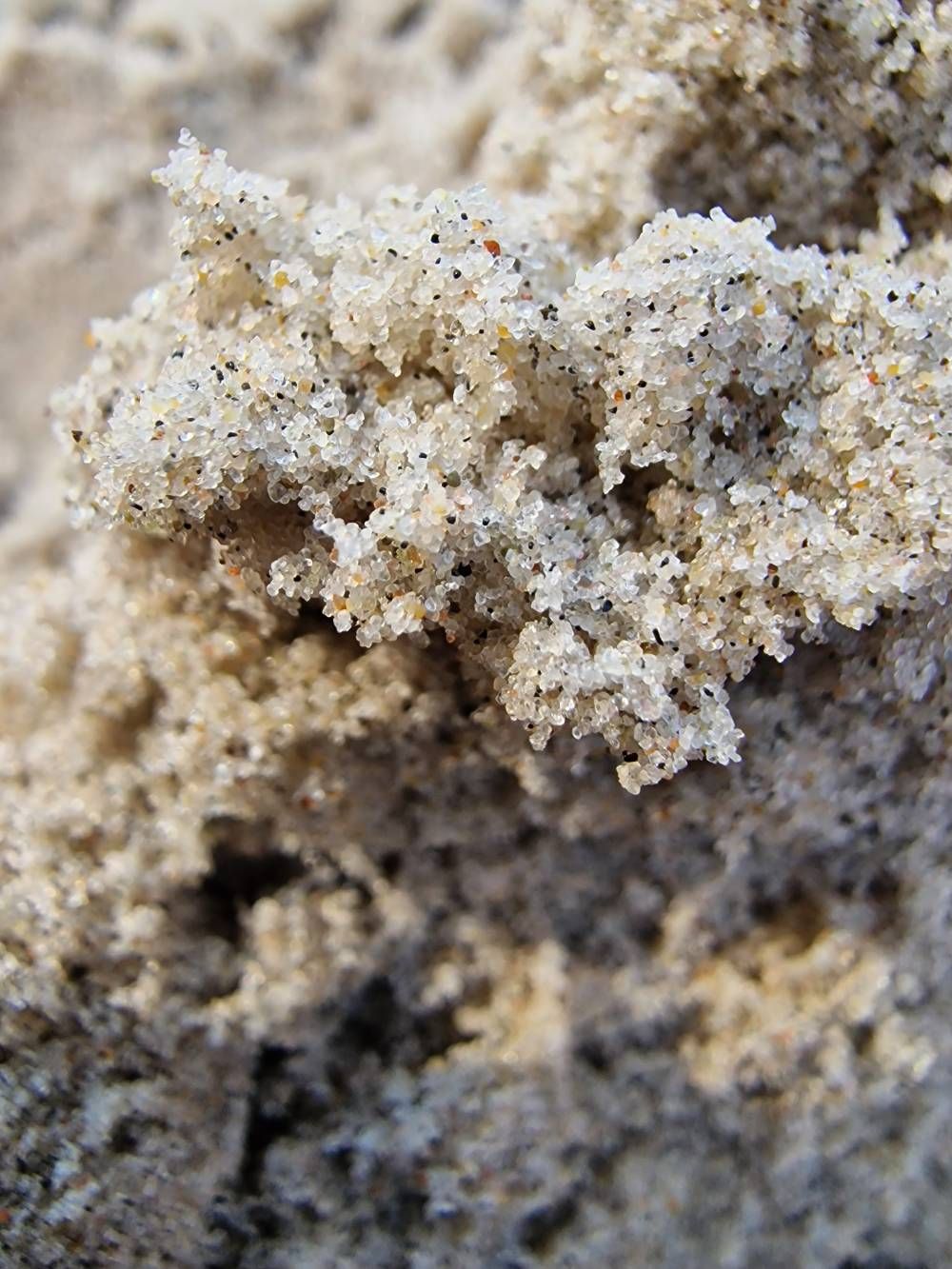 Baltic sand - Samsung Community