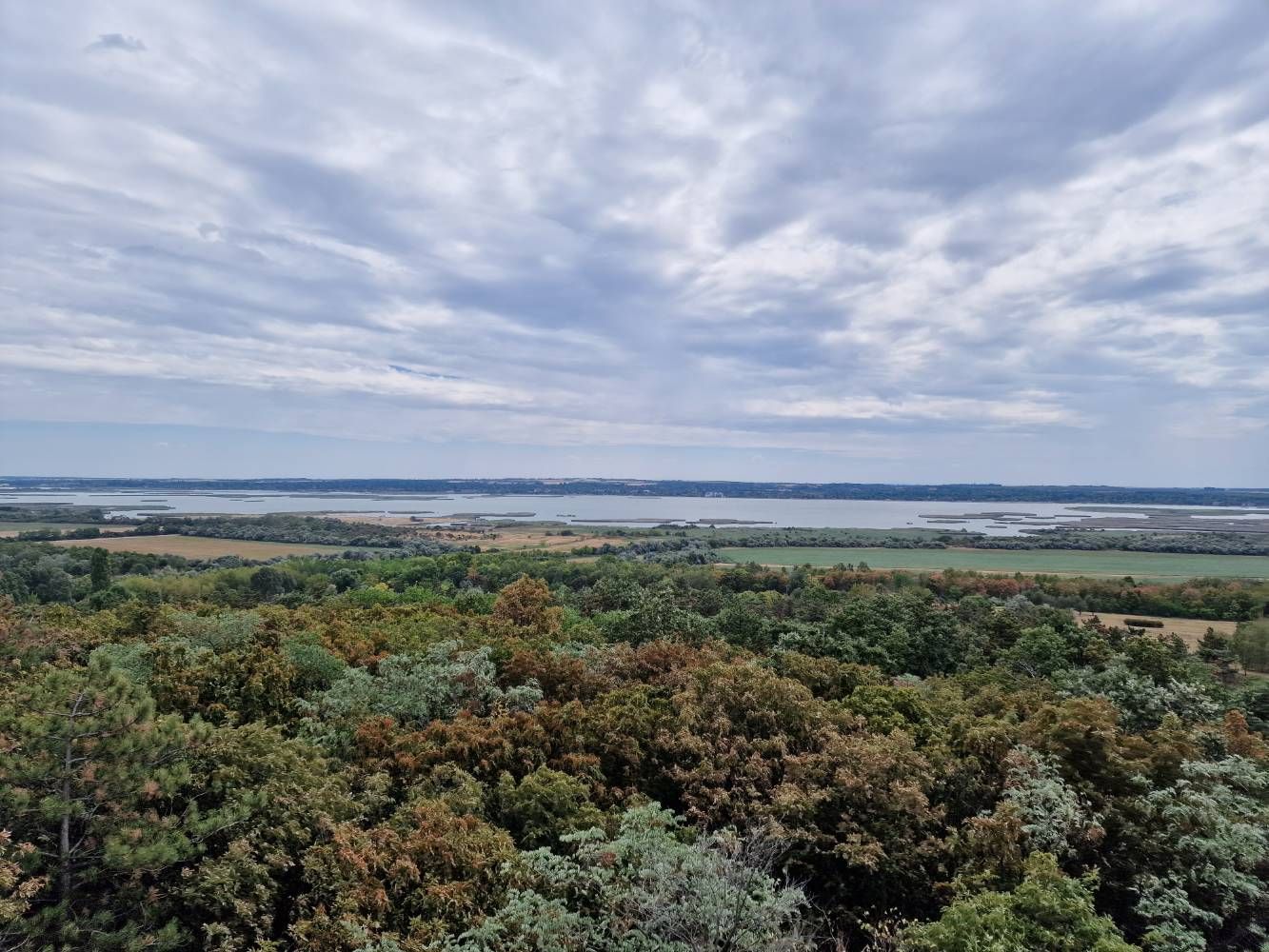 Pákozdi Pagony Vadaskert és Arborétum - Samsung Community