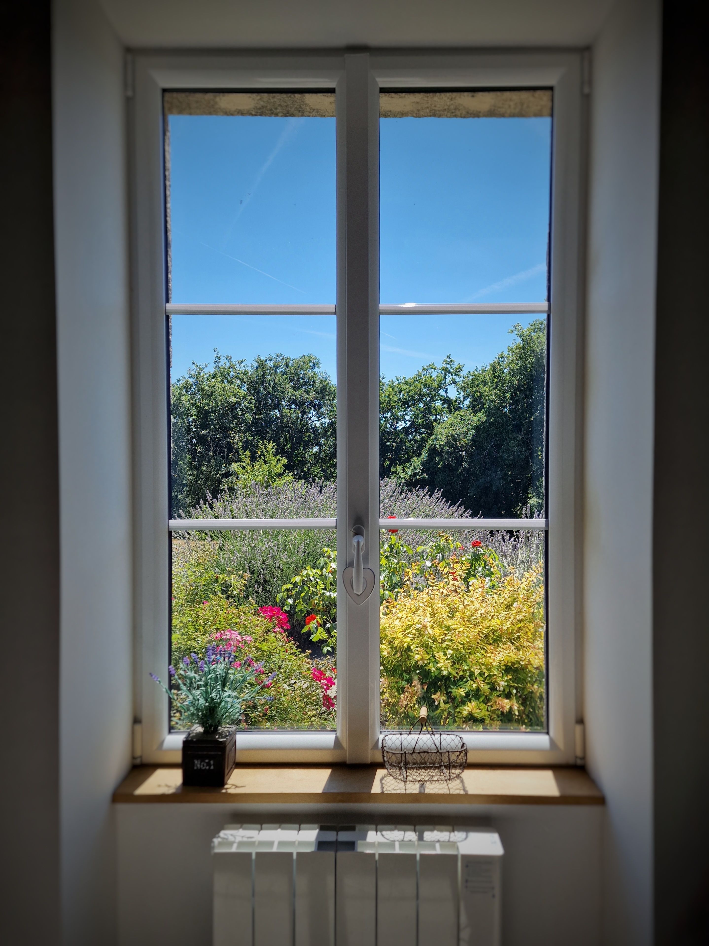 Just a window - Samsung Community