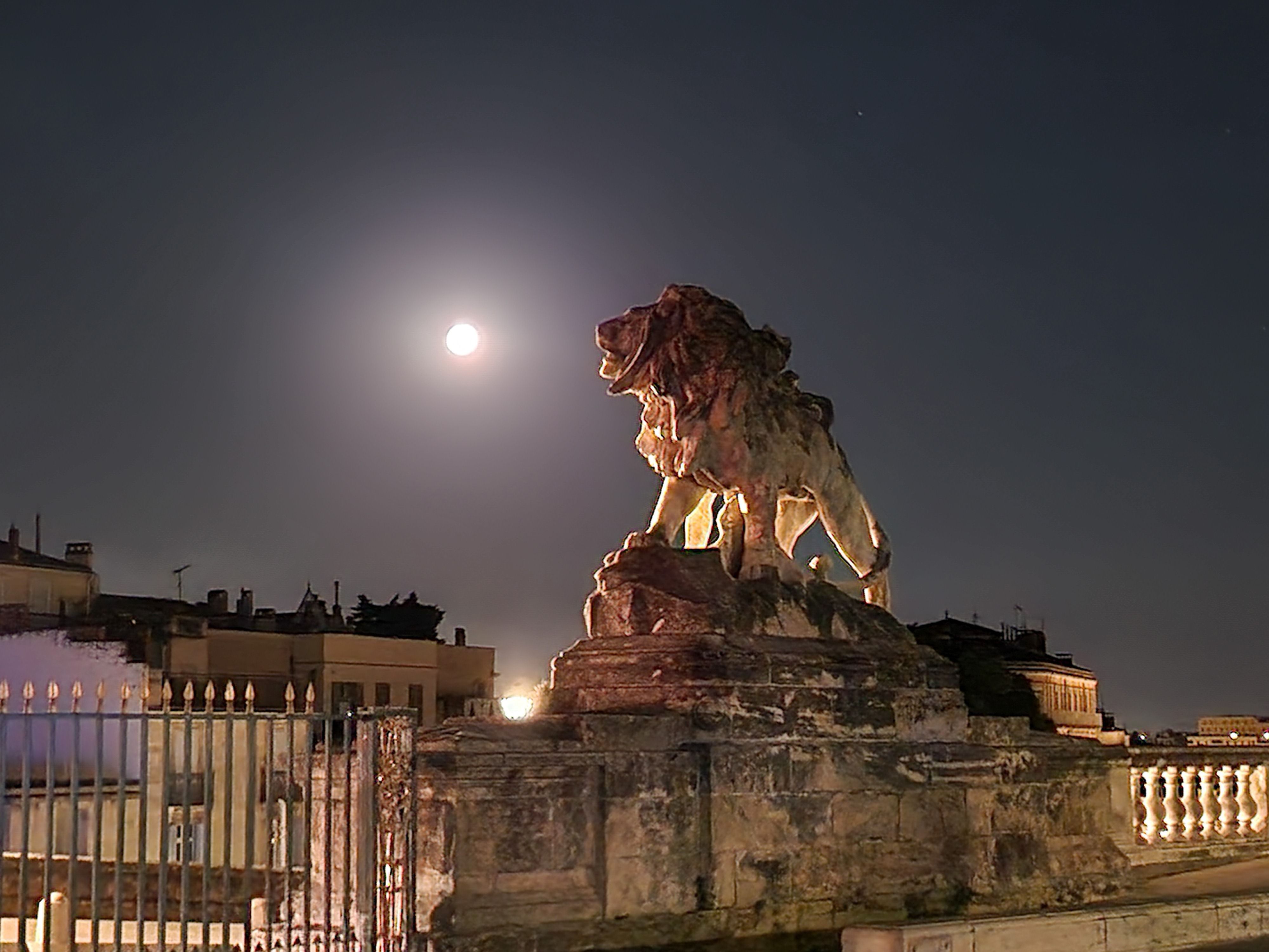Lion taming the Supermoon - Nightography - Samsung Community