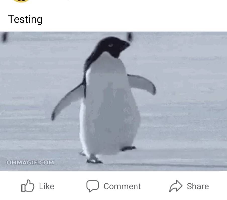 Gif problem - Samsung Community