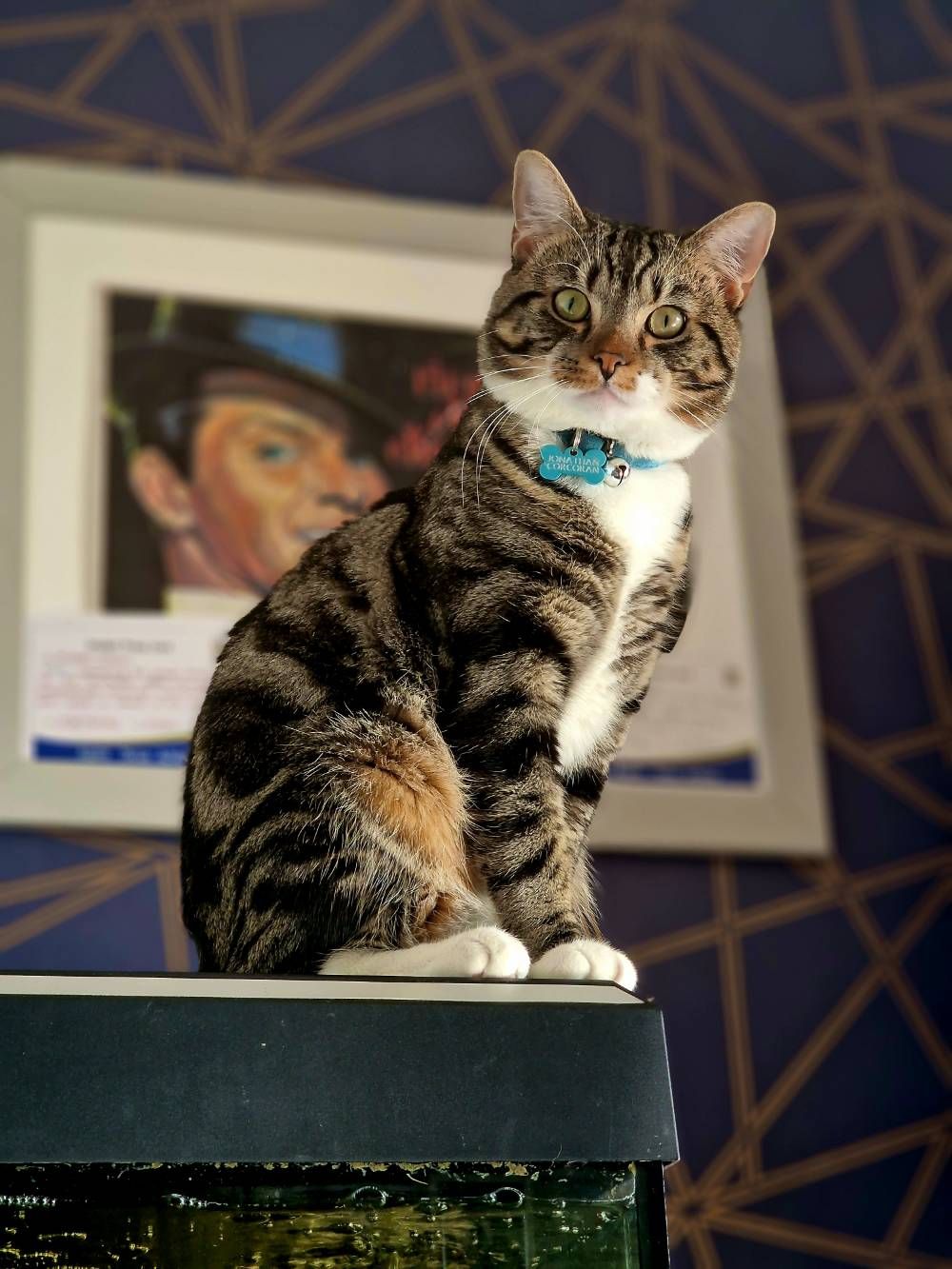 This is Jonathan - Samsung Community