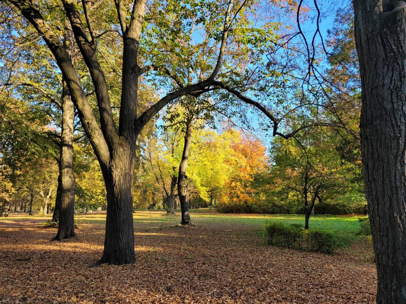 Jesień - Samsung Community