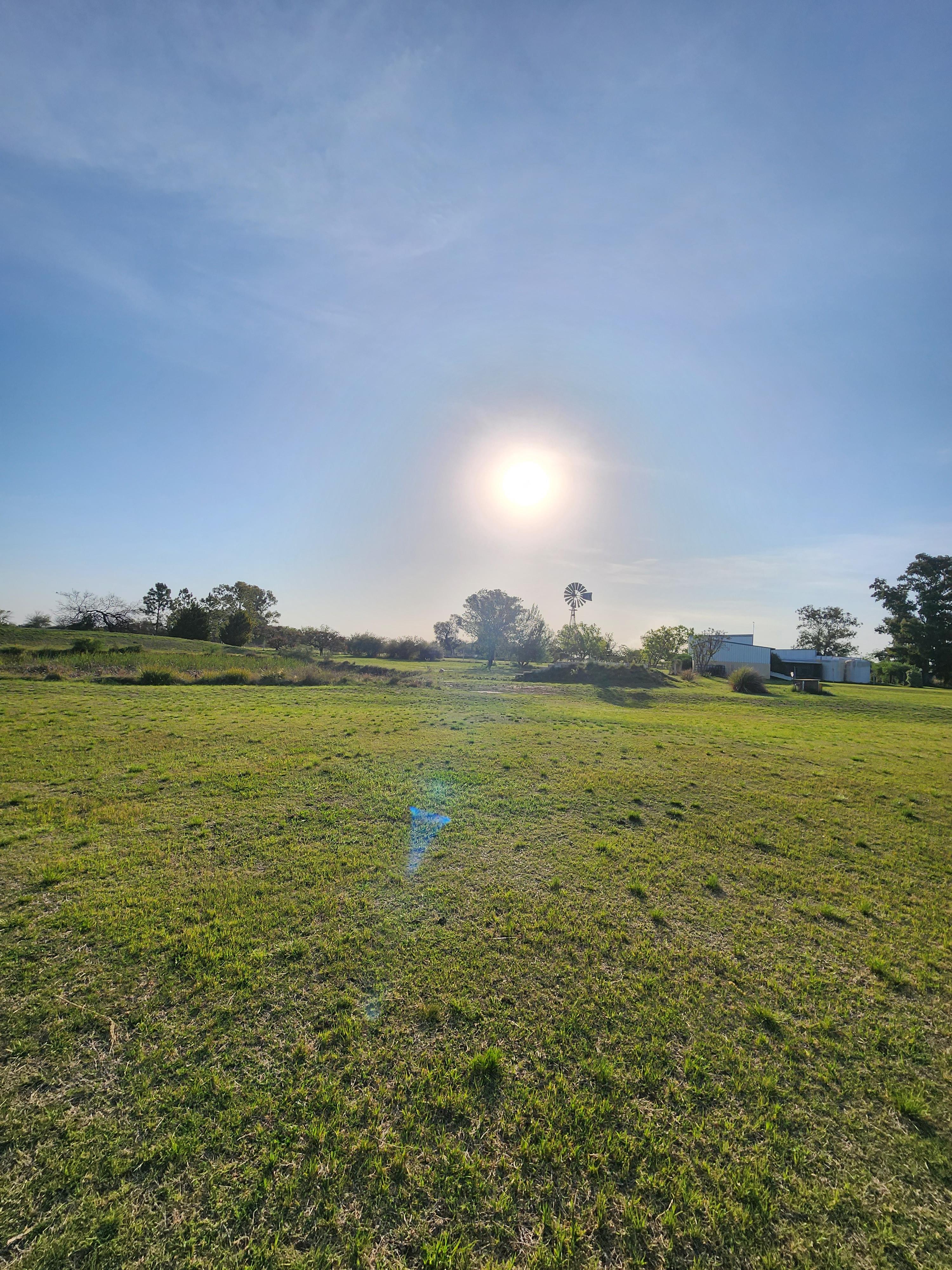 Foto con sol de frente - Samsung Community