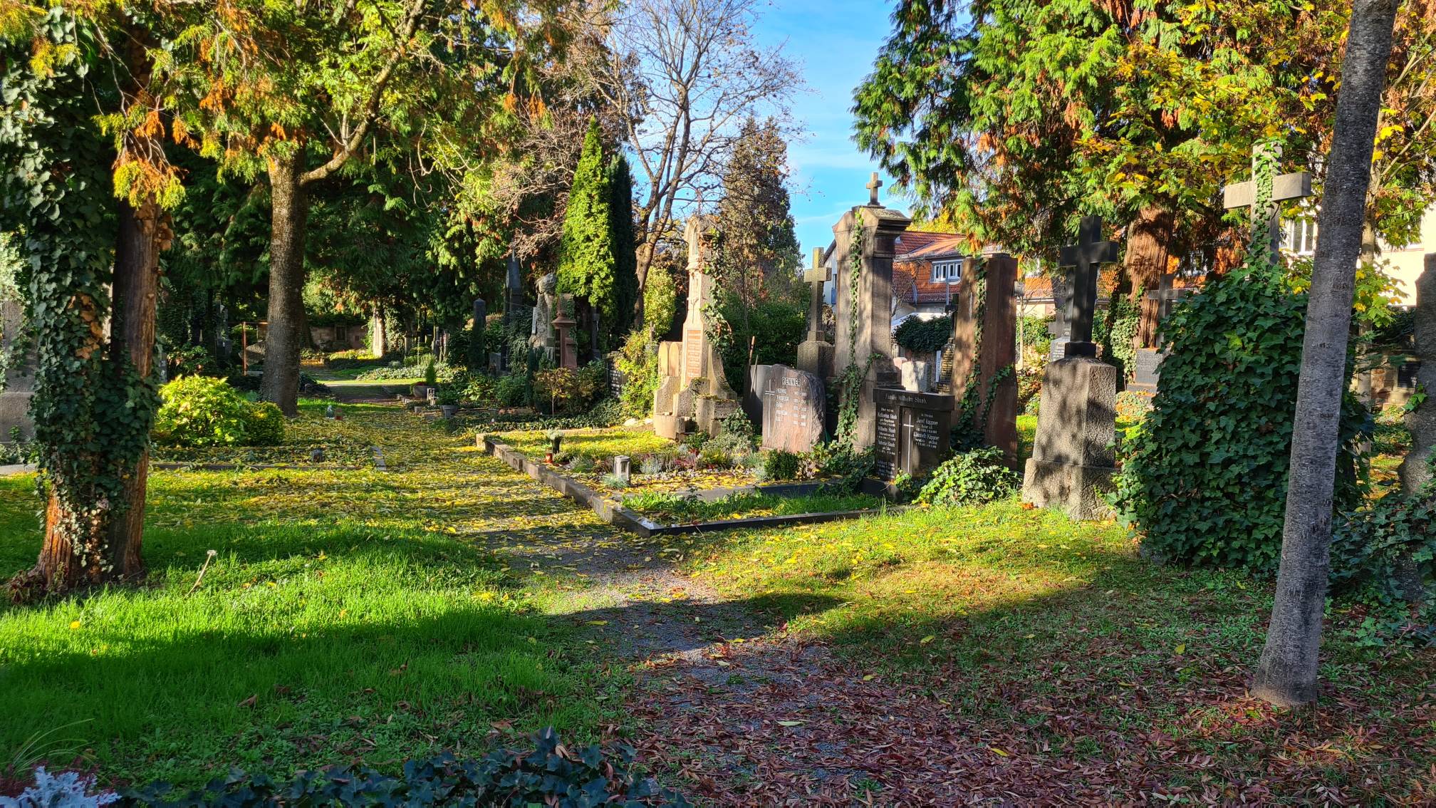 Heute mal Altstadt Friedhof in Aschaffenburg - Samsung Community