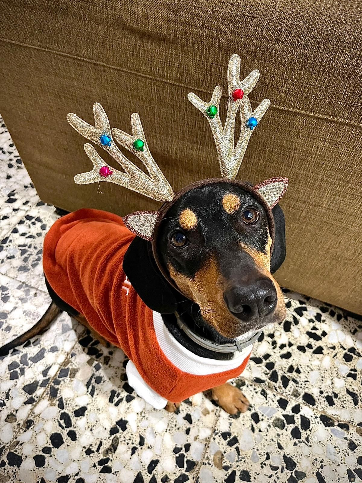 Reno - Samsung Community