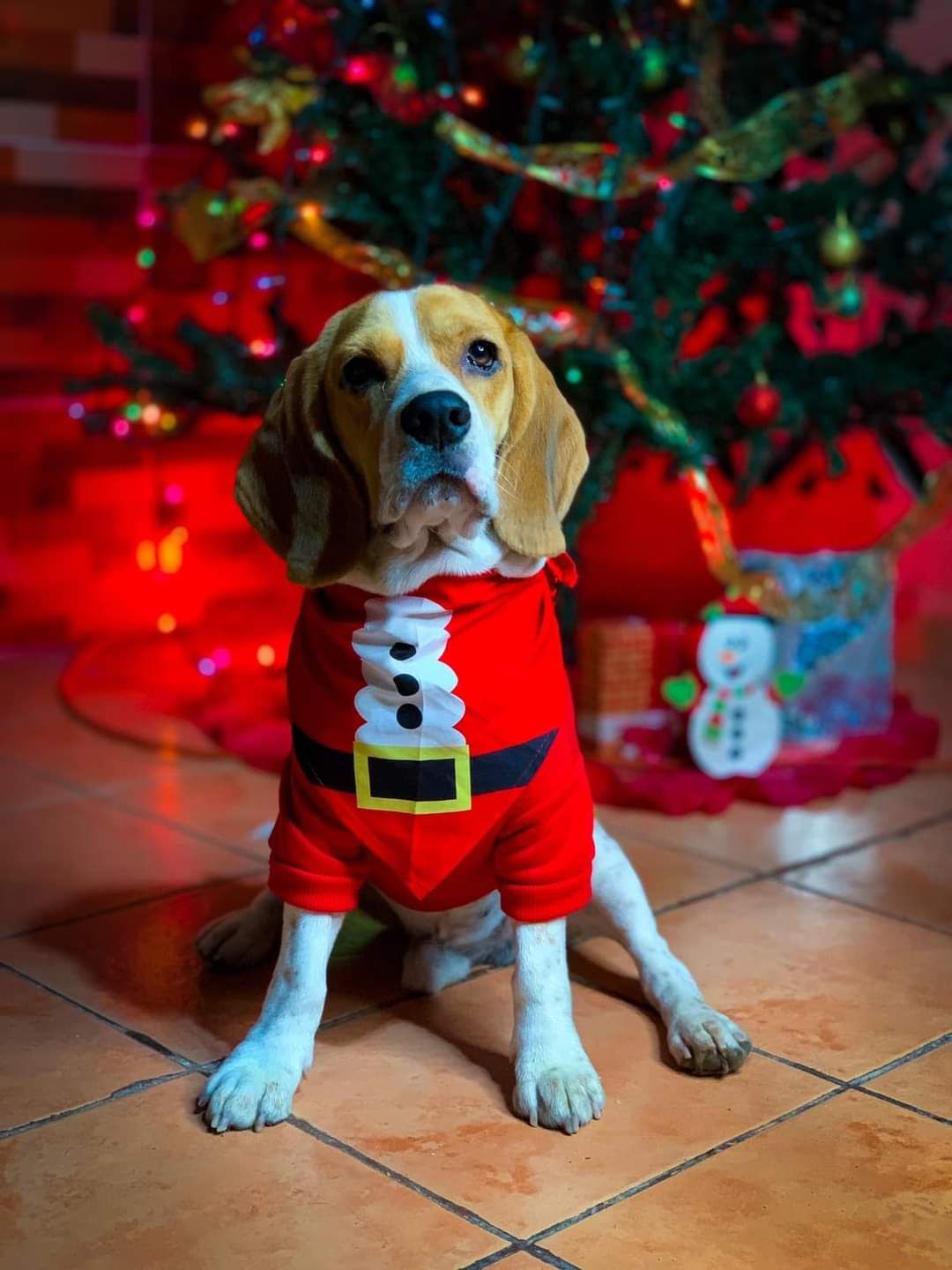 Iron os desea ¡FELIZ AÑOOOO!!! - Samsung Community