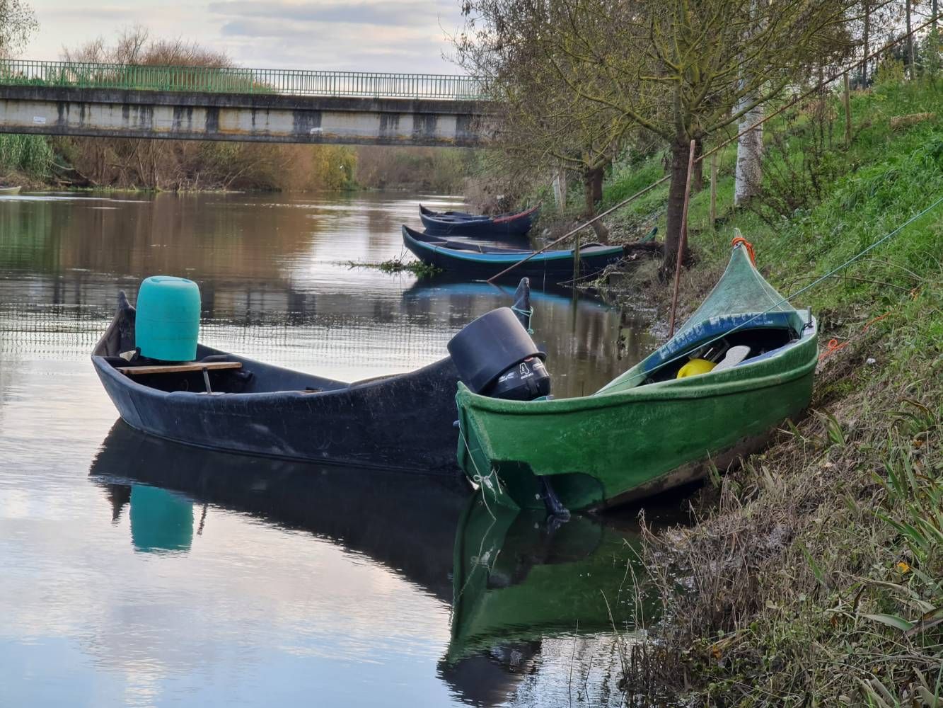 Boat.... - Samsung Community