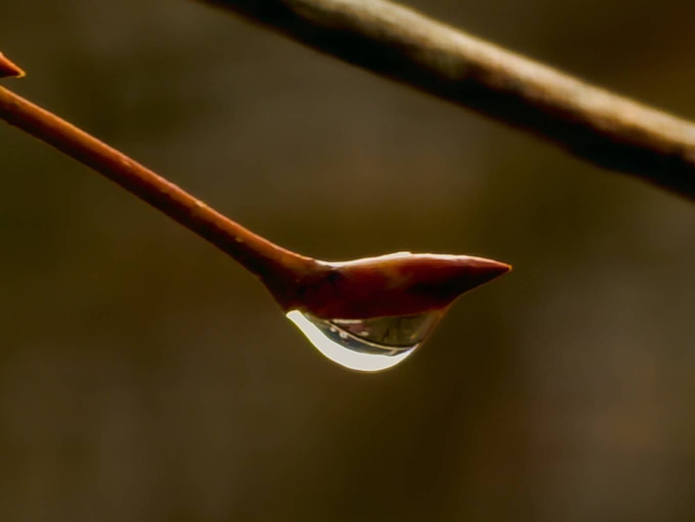 Tropfen - Samsung Community