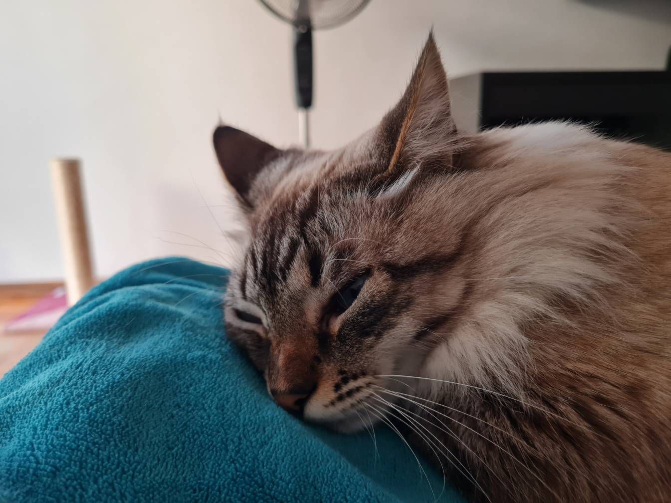 Félix - Samsung Community