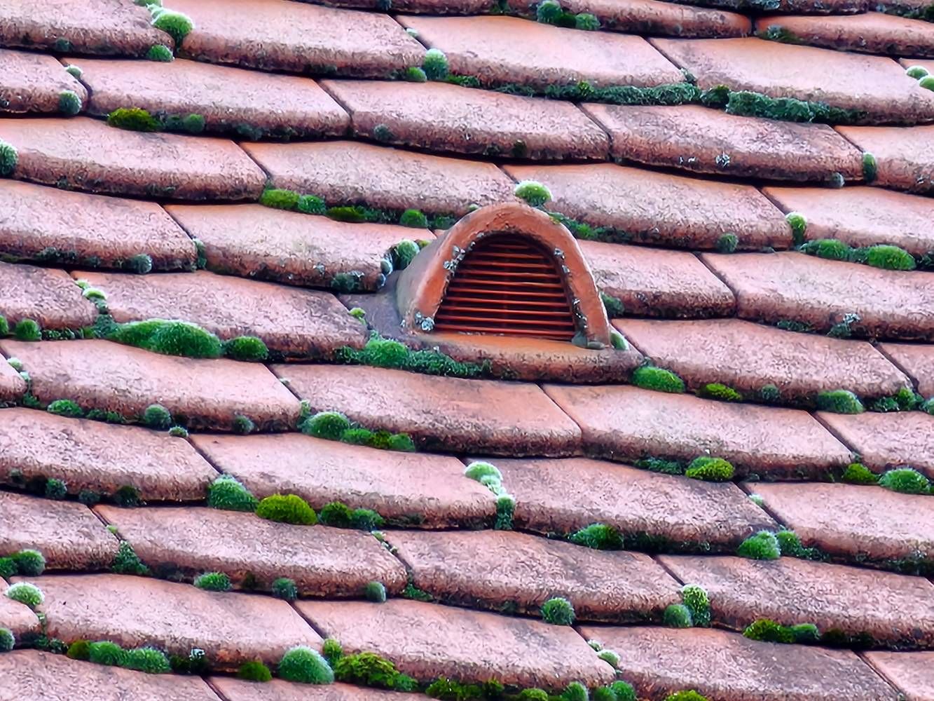 30x zoom: S22 Ultra vs S23 Ultra - Samsung Community