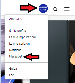 Schermo interno fold 2 difettoso e centro riparazioni non riconosce ...