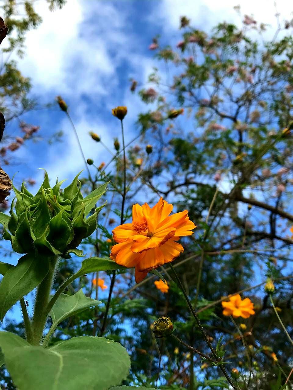 Μάρτιος 2023🧡🌺 - Samsung Community