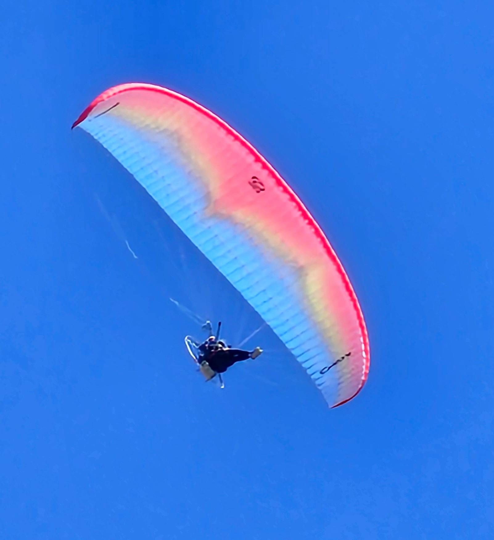 Volando voy!!!! Volando vengo!!! - Samsung Community