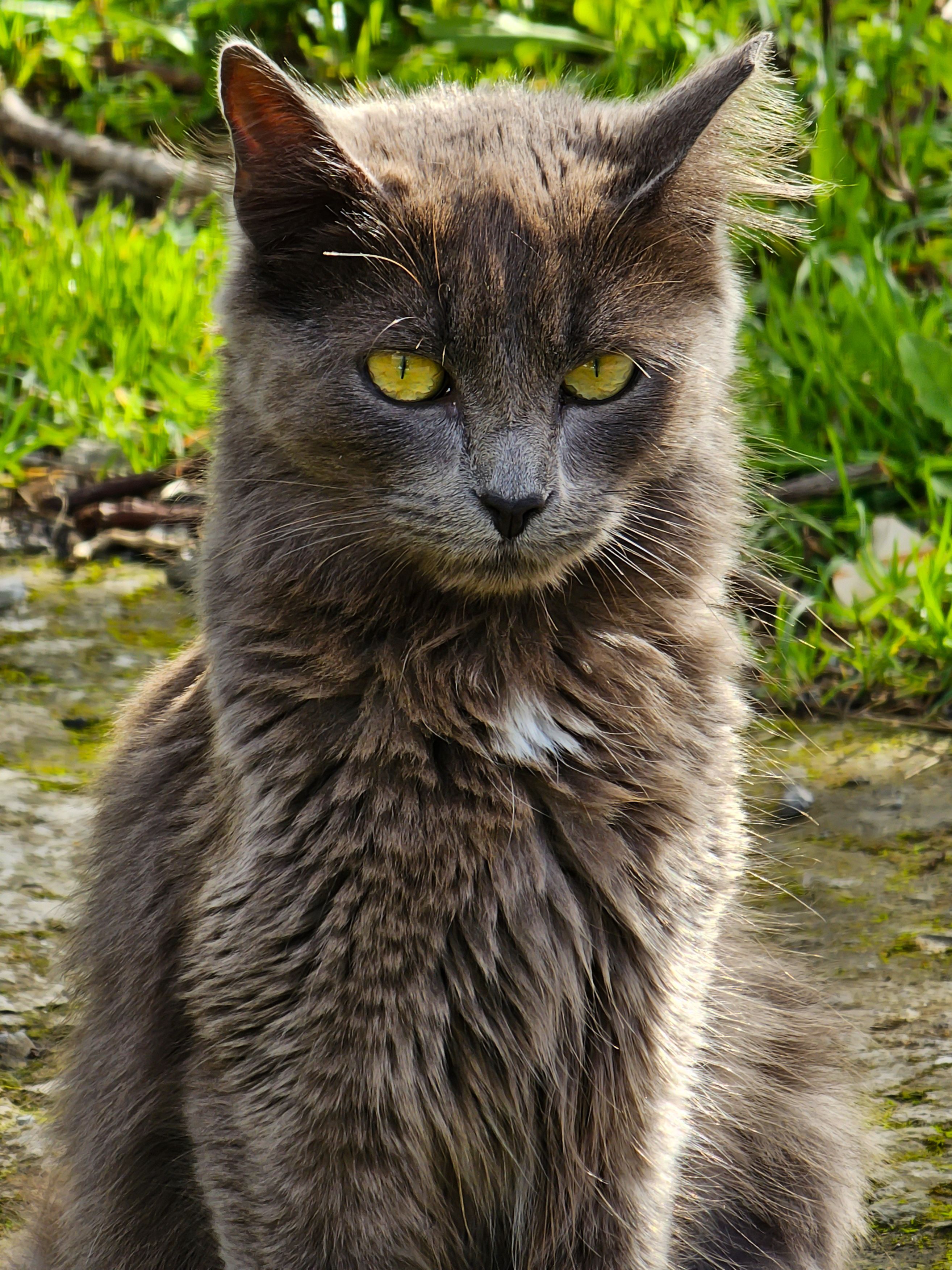 👀 - Samsung Community