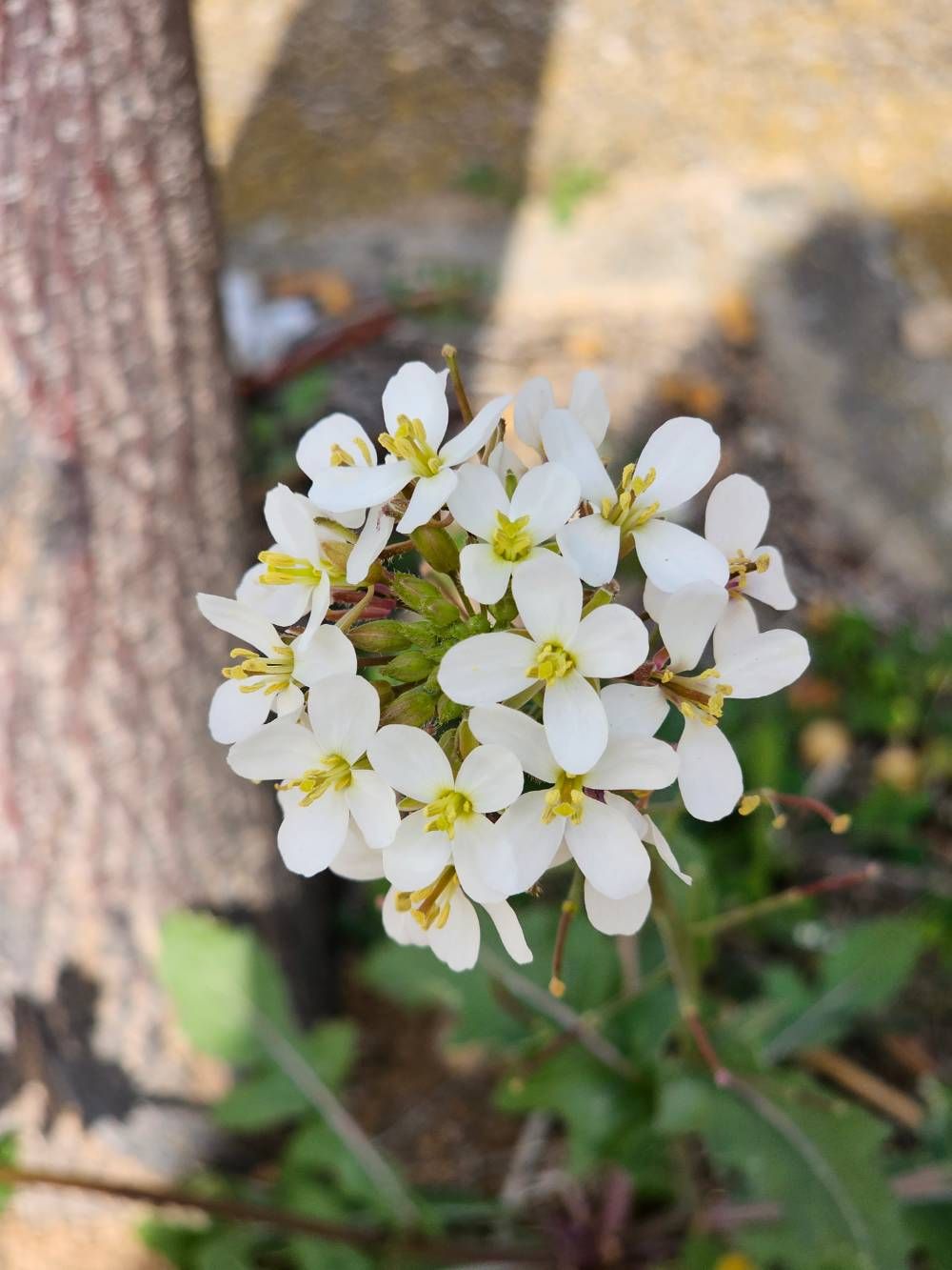 Mi estación favorita ♥️ - Samsung Community