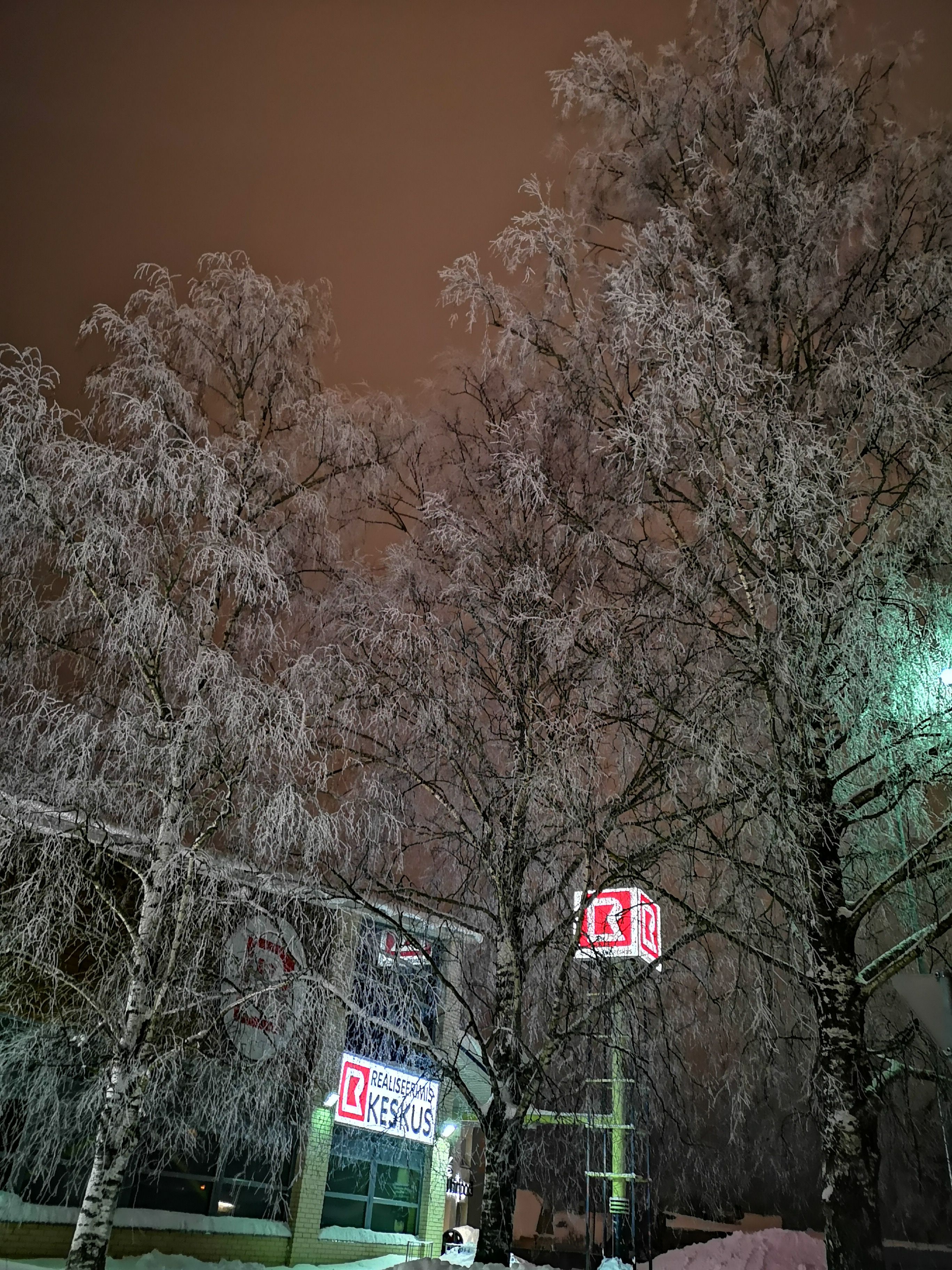 Külmunud kased - Samsung Community