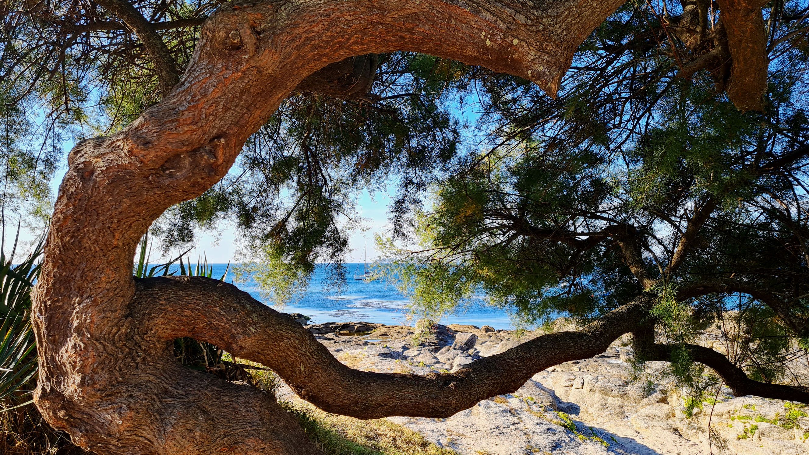 Le Perello (Morbihan) - Samsung Community