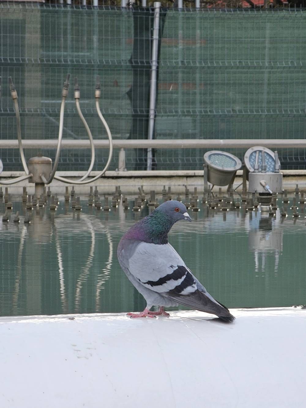 Poze s23 ultra 10x zoom - Samsung Community