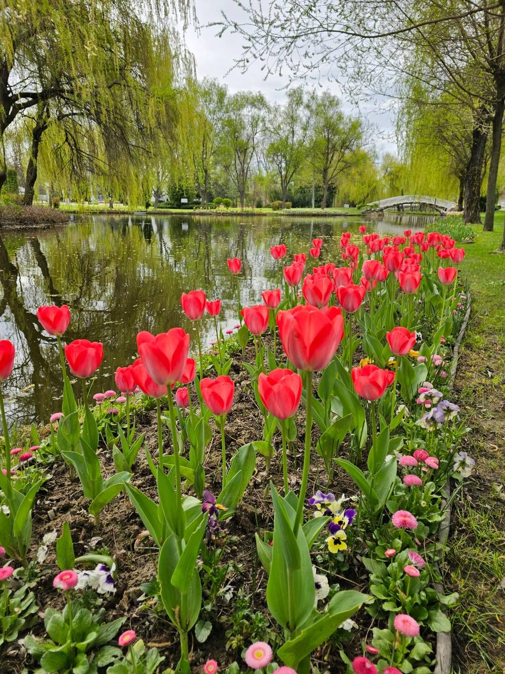 Fotografii de primavara - S23 Ultra - Samsung Community