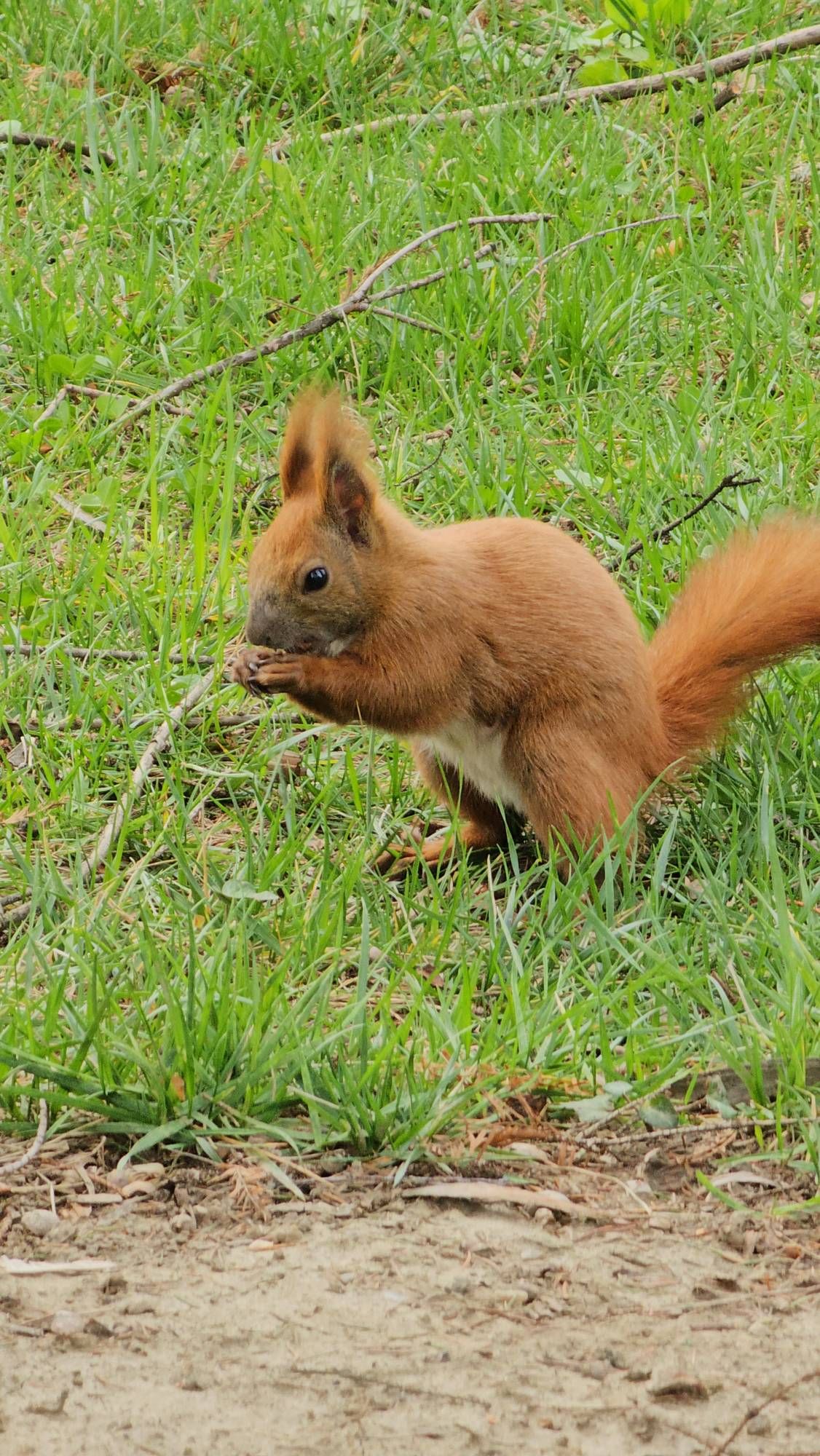 Fotografii de primavara - S23 Ultra - Samsung Community