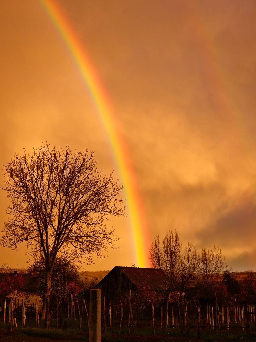 Rainbow - Samsung Community