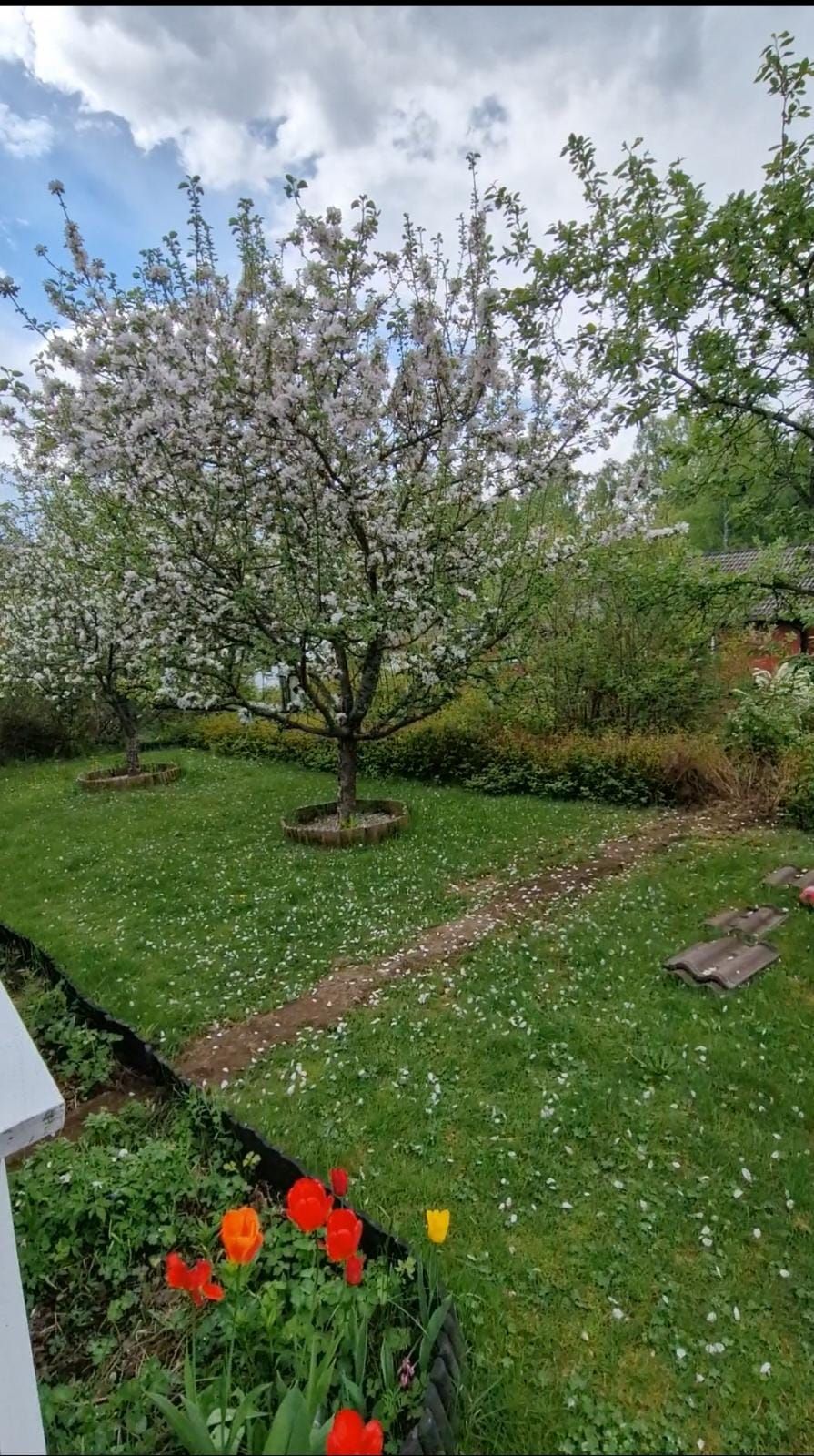 Spring - Samsung Community