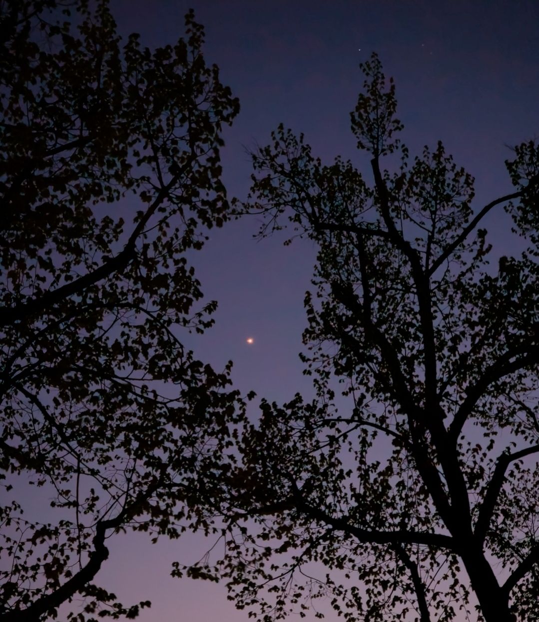 Venus mit "Rahmen" 😁 - Samsung Community