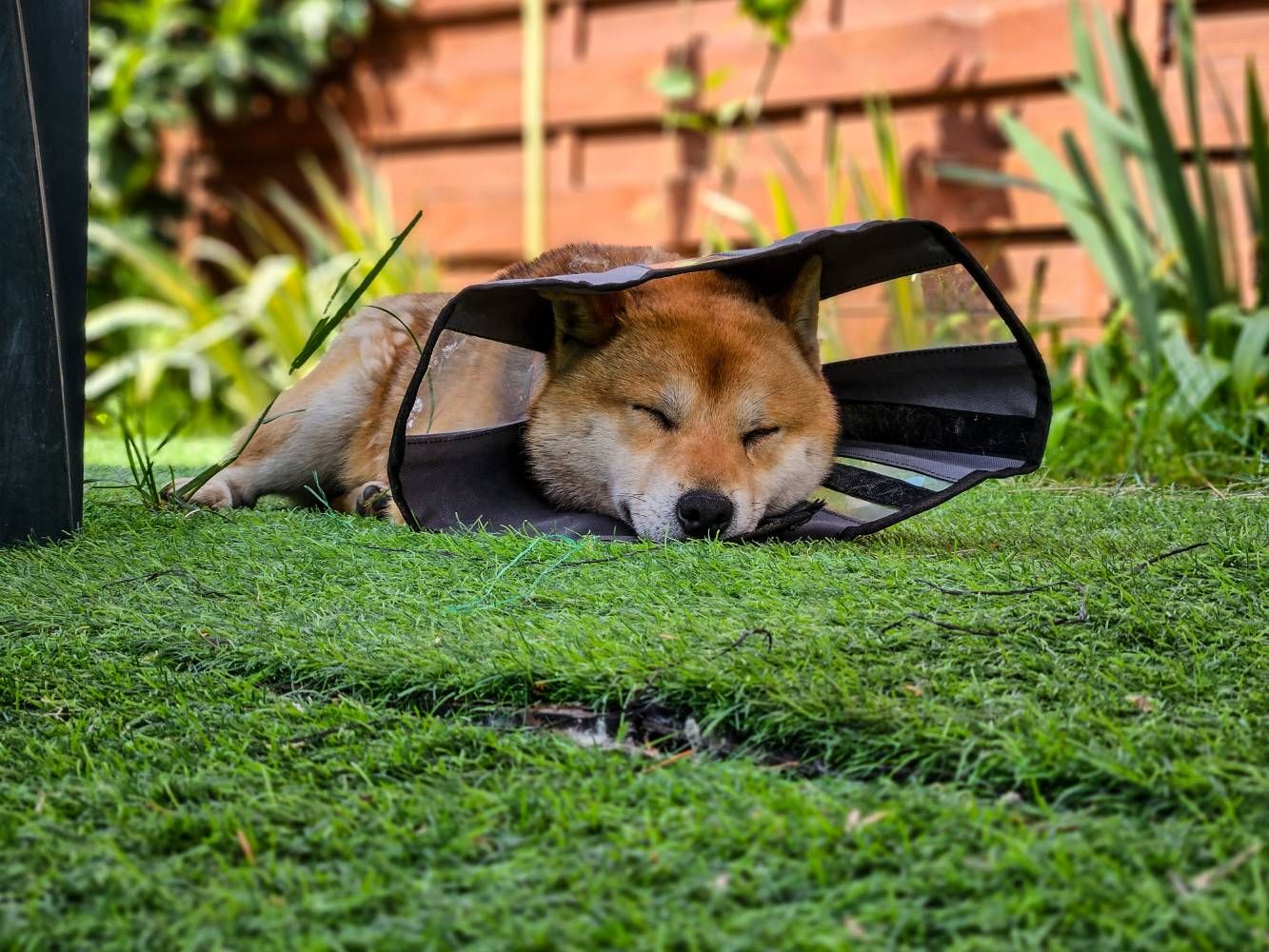 Labadozas mutet utan (S23+Lightroom) - Samsung Community